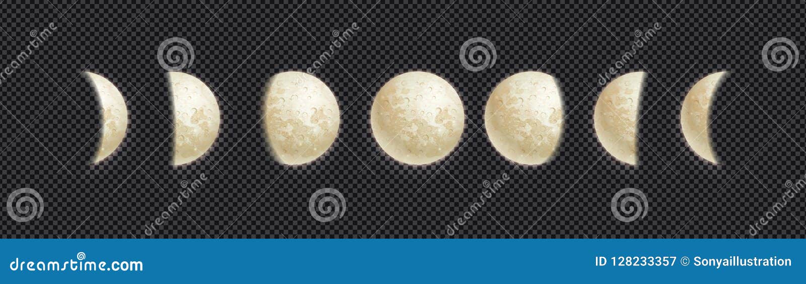 Vector Illustration of Moon Phases Stock Vector - Illustration of cycle ...
