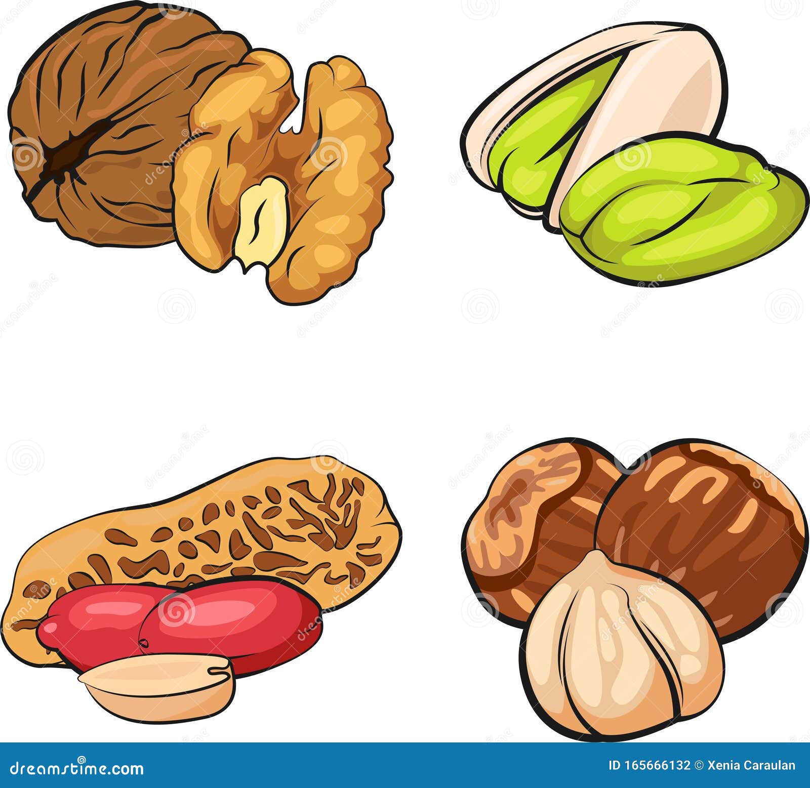 Set of Nuts. Vector Illustration Stock Vector - Illustration of nuts ...
