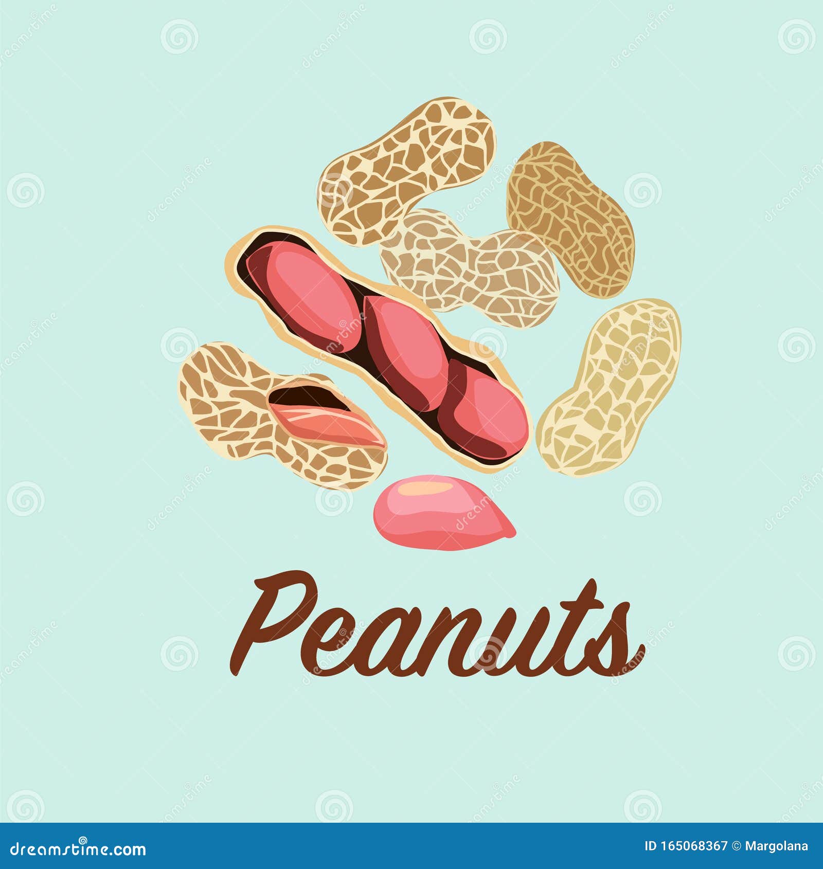 Vector Illustration Set of Peanuts Stock Vector - Illustration of ...