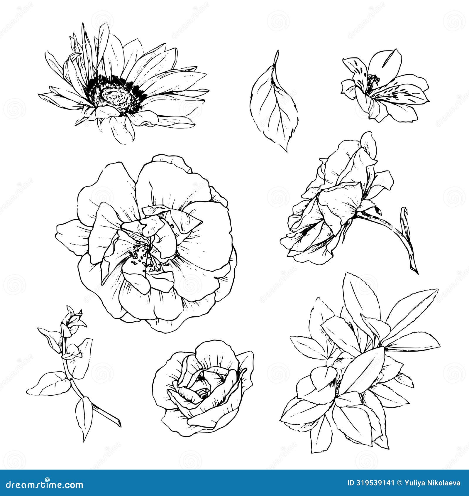 Vector Illustration Set of Roses Flowers and Leaves, Hand Draw Stock ...
