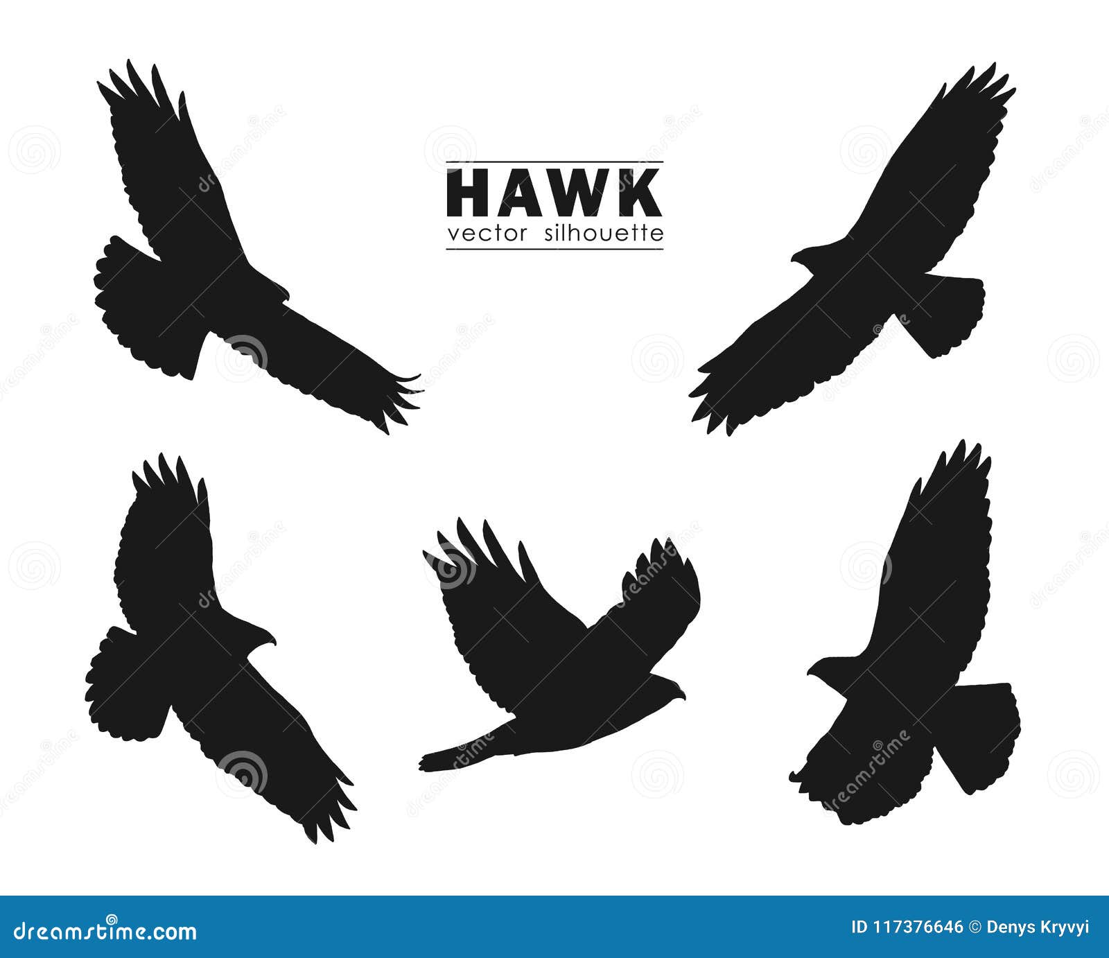 Silhouettes Hawk Stock Illustrations – 677 Silhouettes Hawk Stock ...
