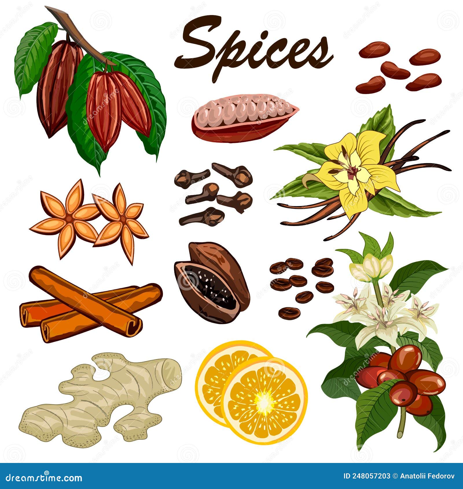 Vector Illustration with a Set of Spices. Stock Vector - Illustration ...