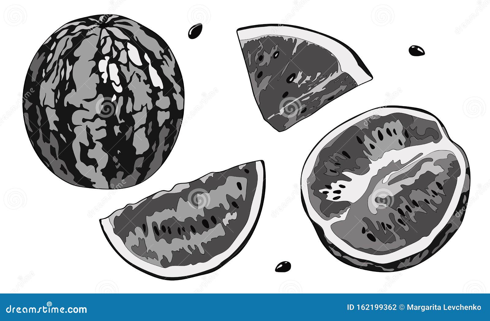 Watermelon Half And Slices. Red Watermelon Piece With Bite ...