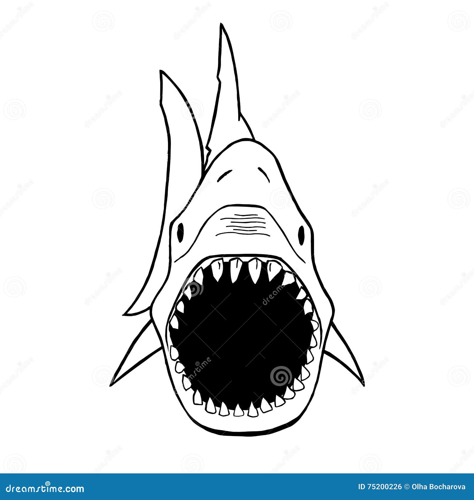 Vector Illustration of Shark with Teeth. Stock Vector - Illustration of ...