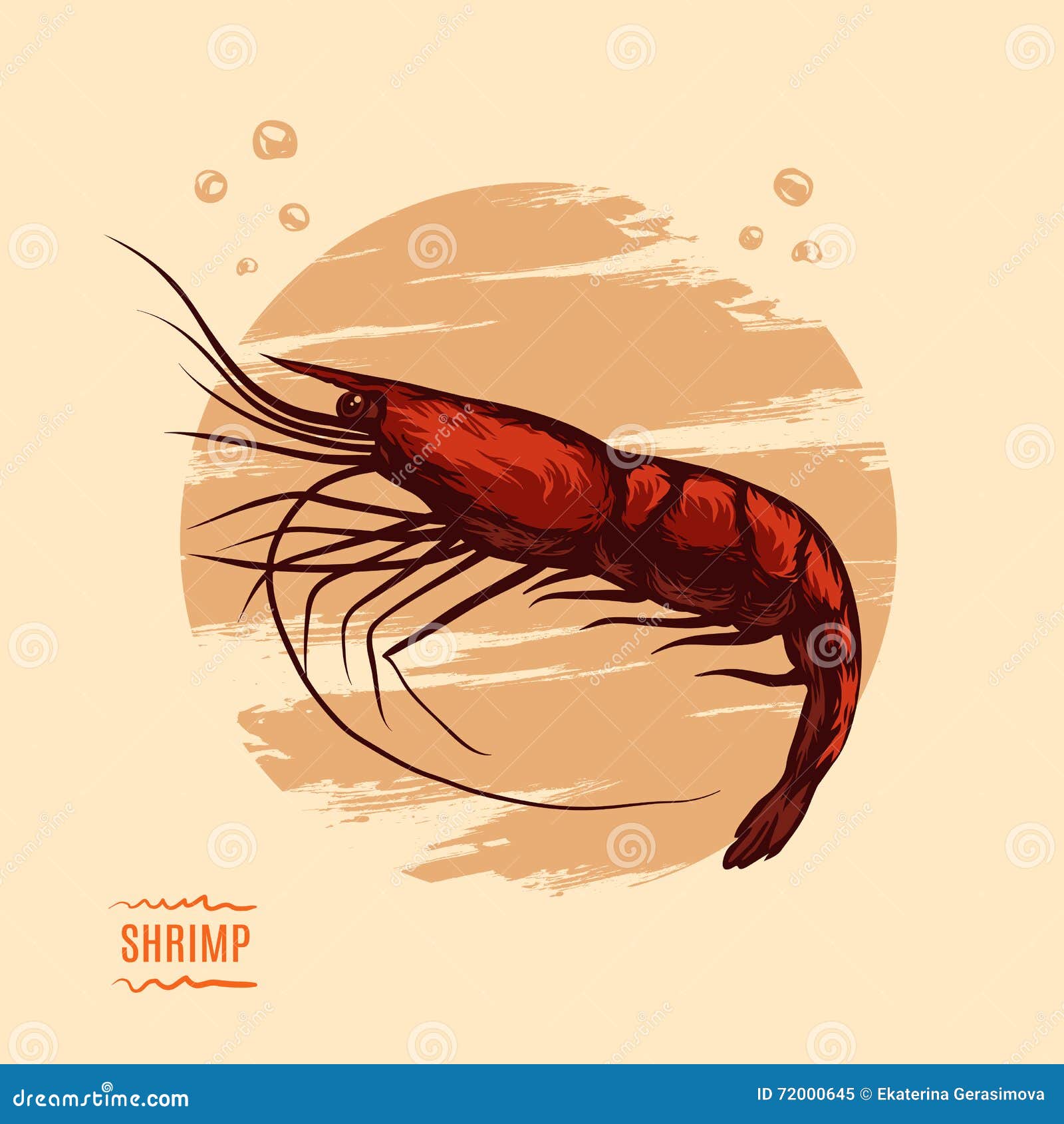 Vector Illustration With Shrimp | CartoonDealer.com #72000645