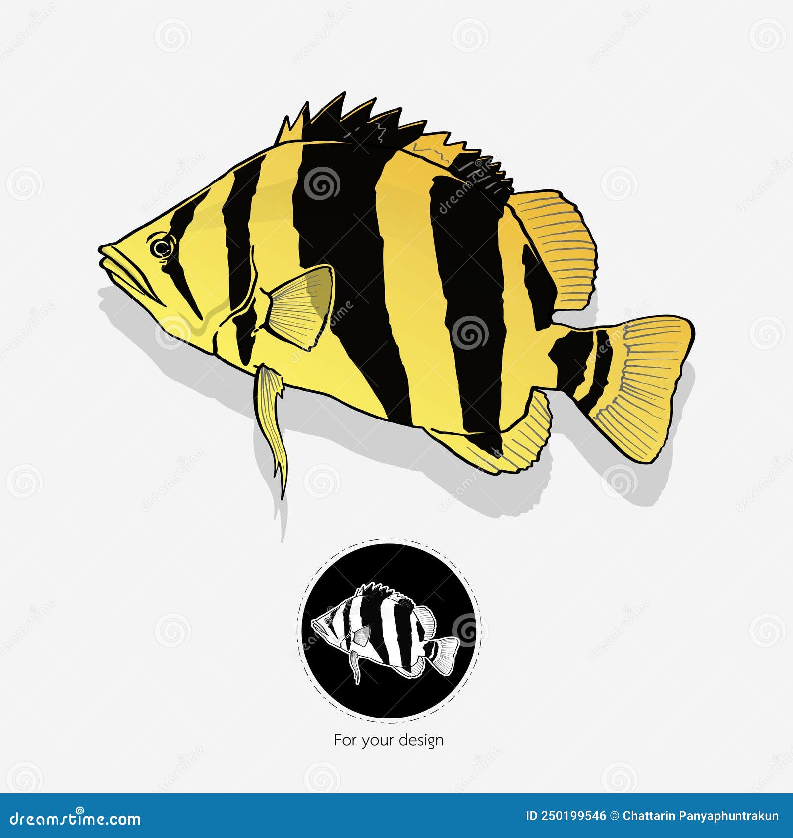 Siamese Tigerfish Cartoon Watercolor Painting Illustration Design Hand ...