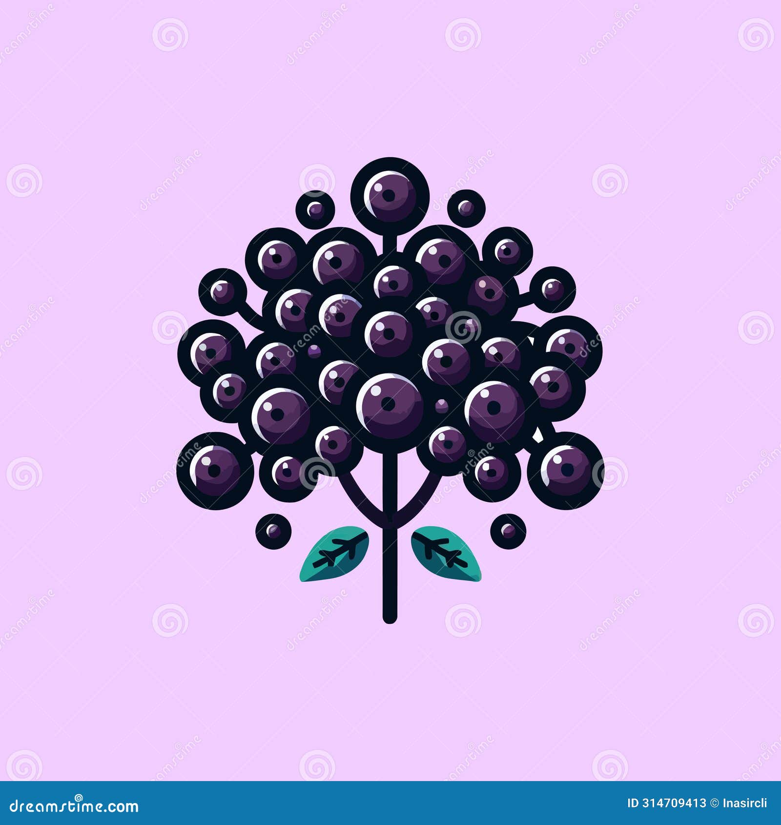 Vector Illustration of a Simple Elderberry Stock Vector - Illustration ...
