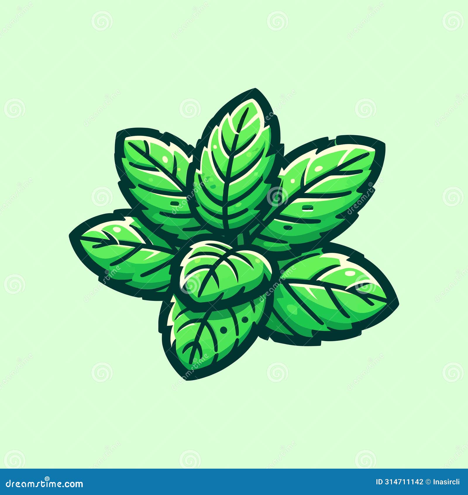 Vector Illustration of Simple Mint Stock Vector - Illustration of ...