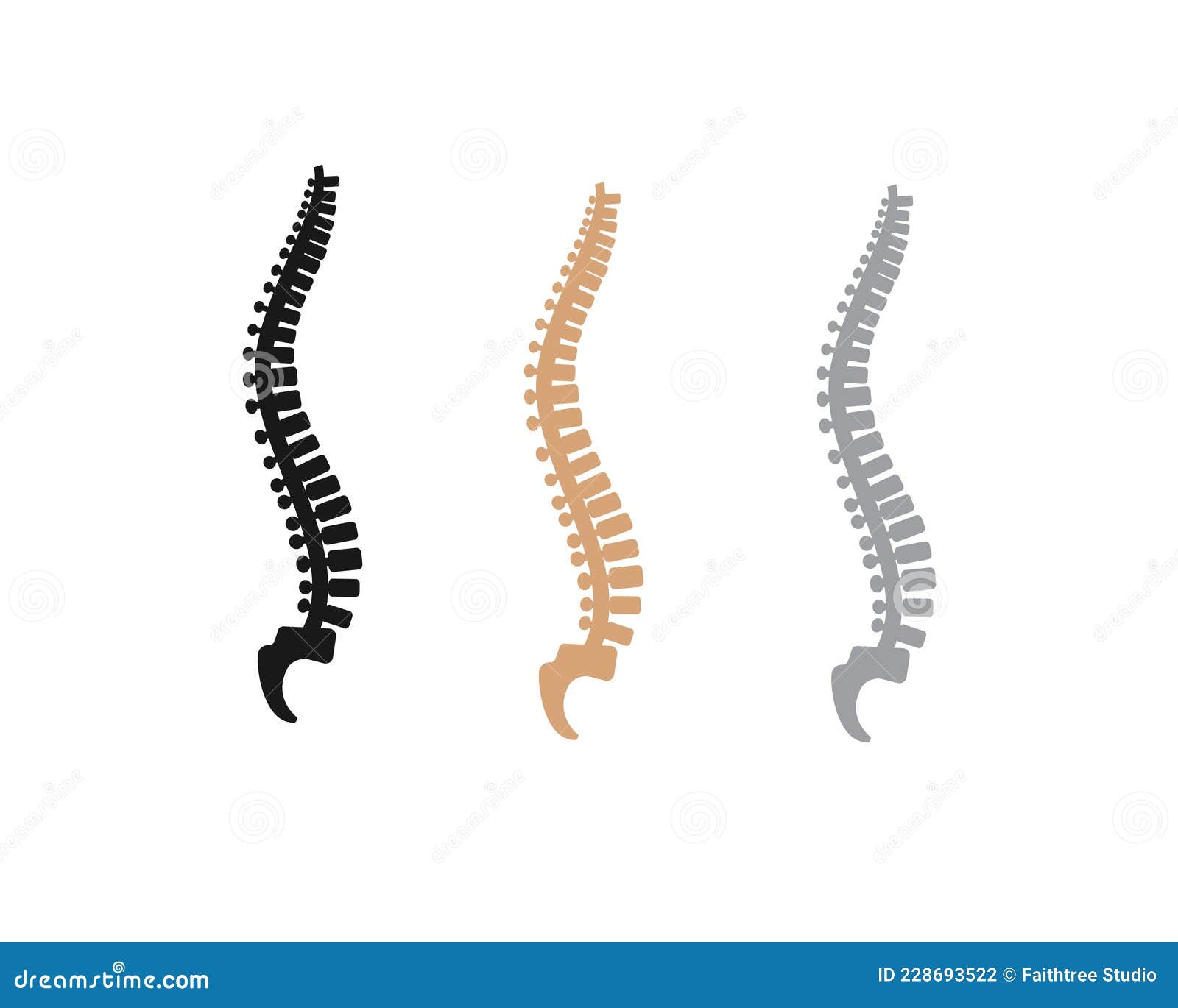 Vector Illustration of Simple Spine Bone in Various Color Stock Vector ...