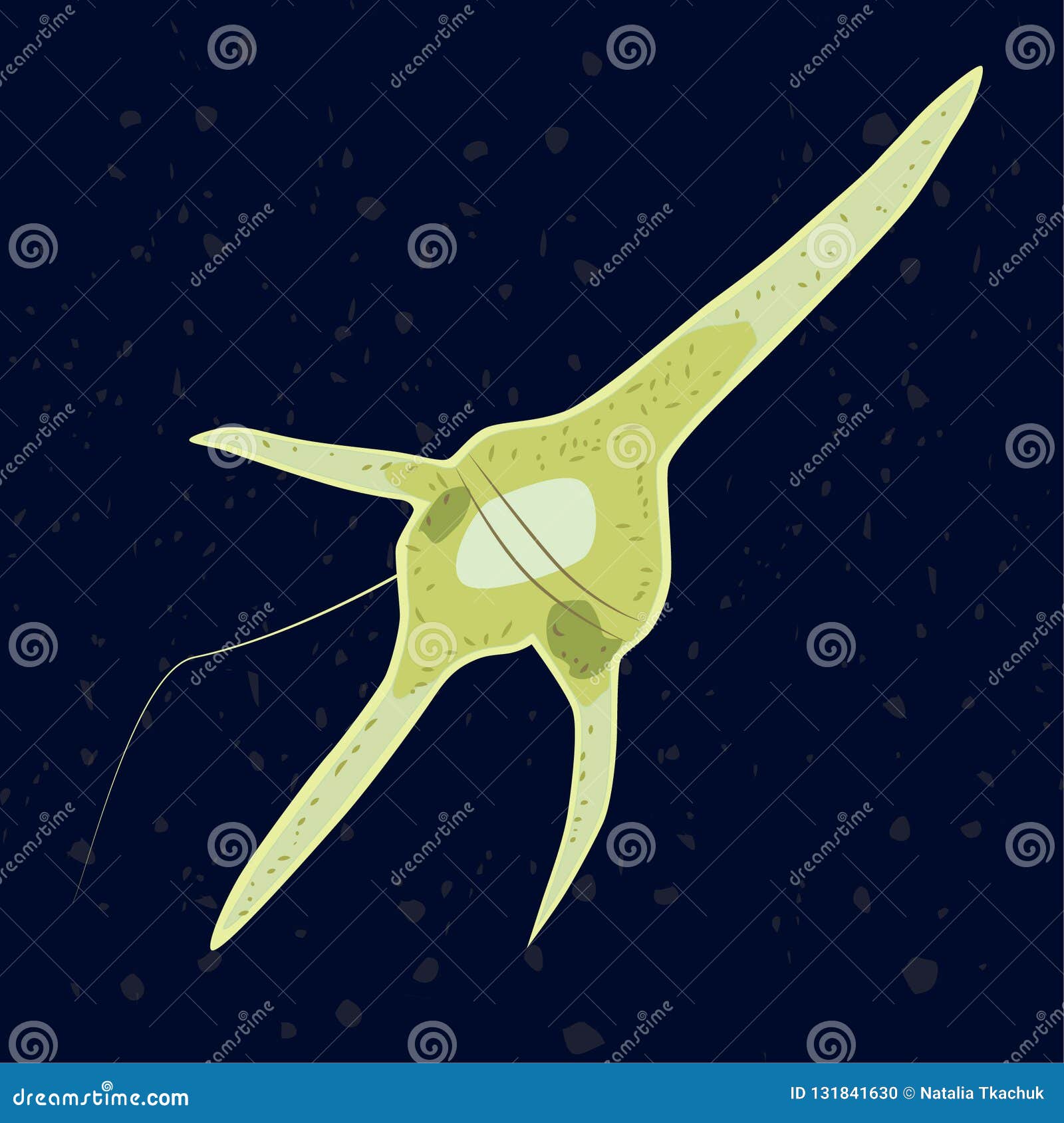 Vector Illustration of Single-celled Eukaryote Dinophyta, Protozoa ...