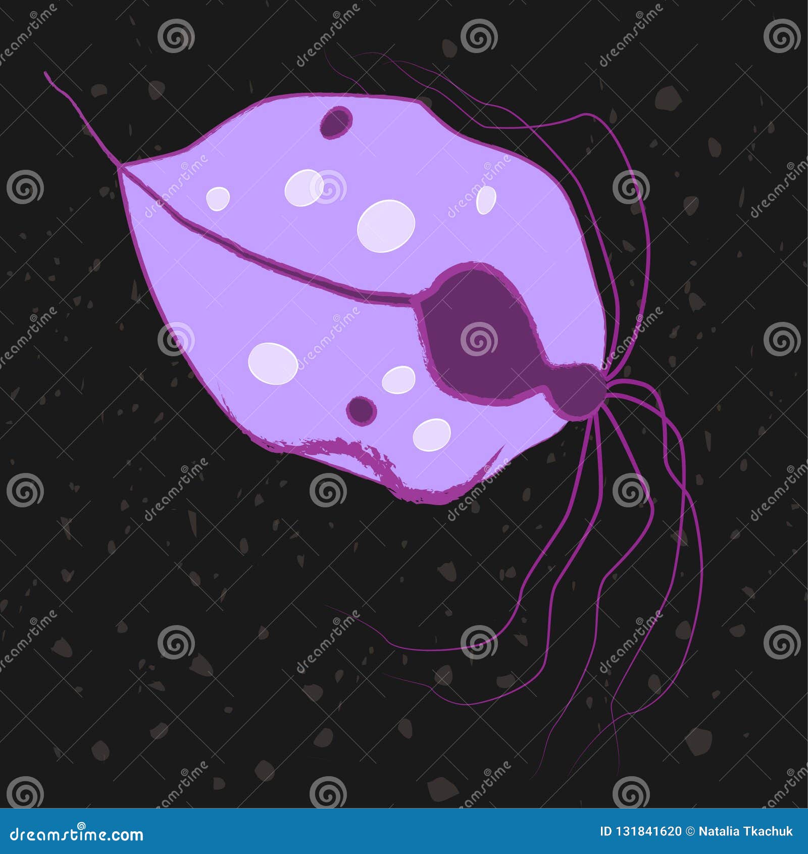 Vector Illustration of Single-celled Eukaryote Parabasalia, Protozoa ...