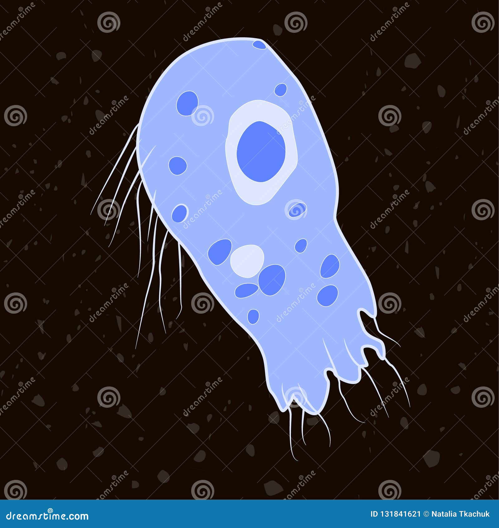 Vector Illustration of Single-celled Eukaryote Percolozoa, Protozoa ...