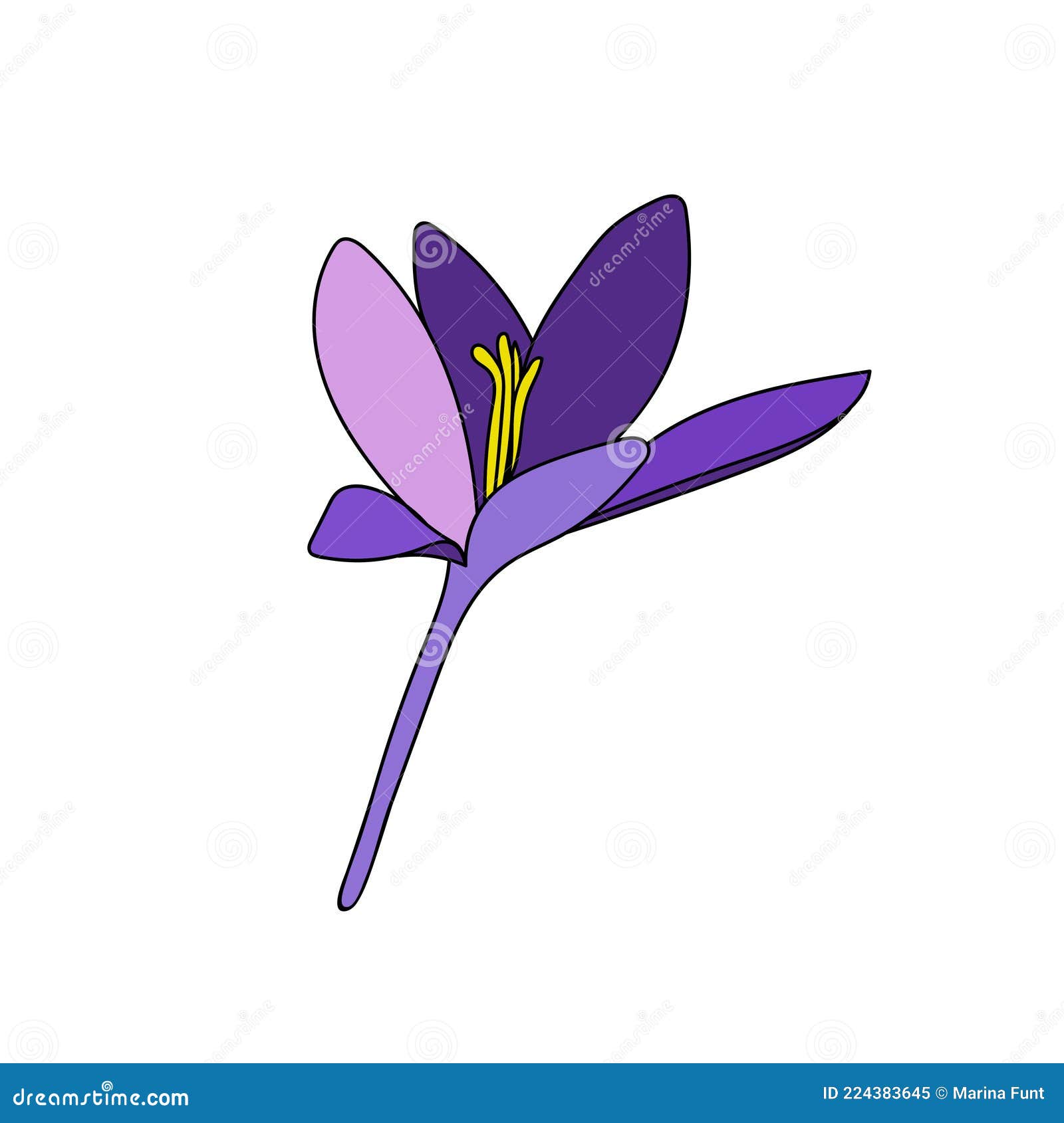 Vector Illustration of a Single Color Crocus Flower Head Saffron Flower ...
