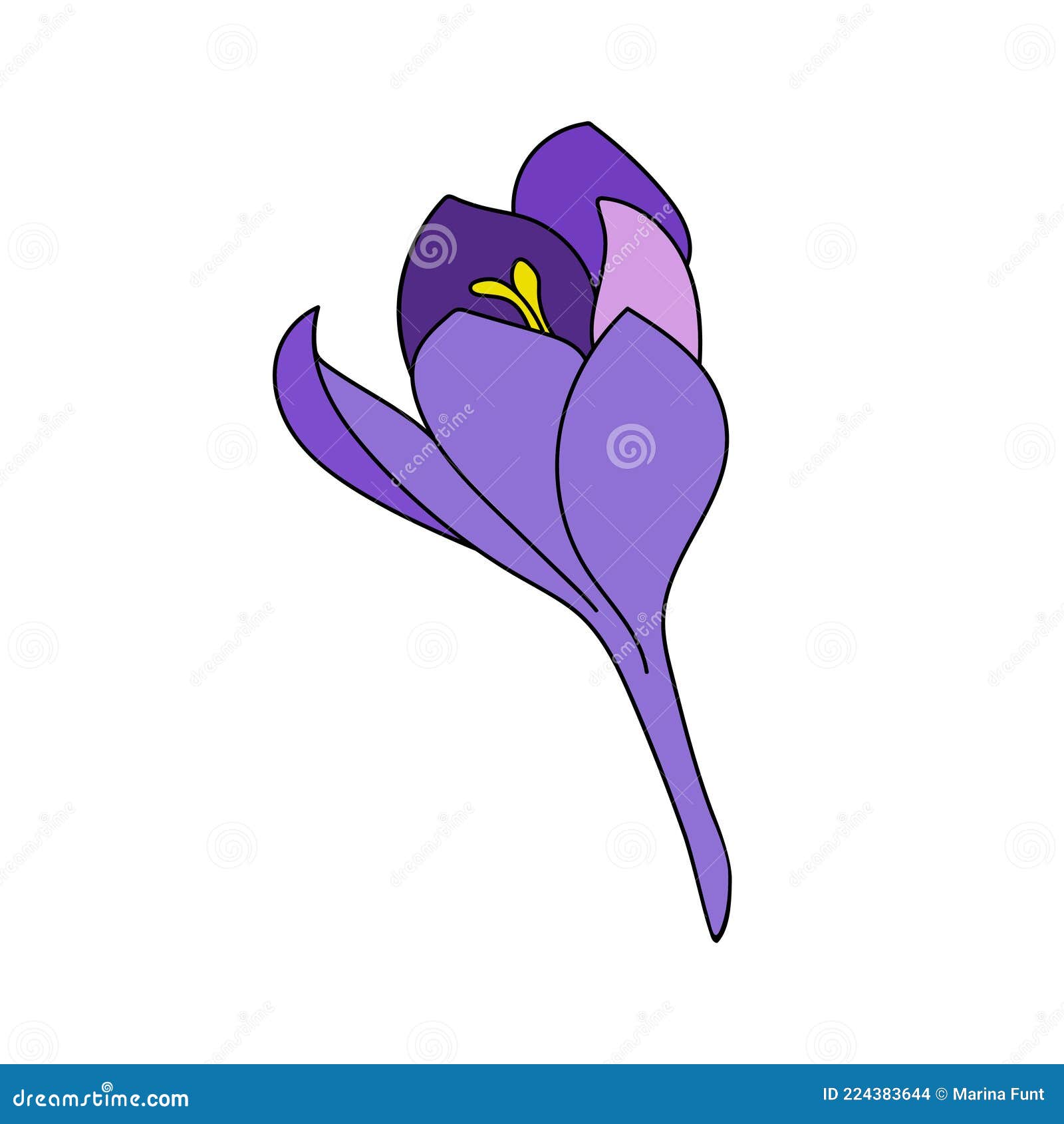 Vector Illustration of a Single Color Crocus Saffron Flower Linear ...