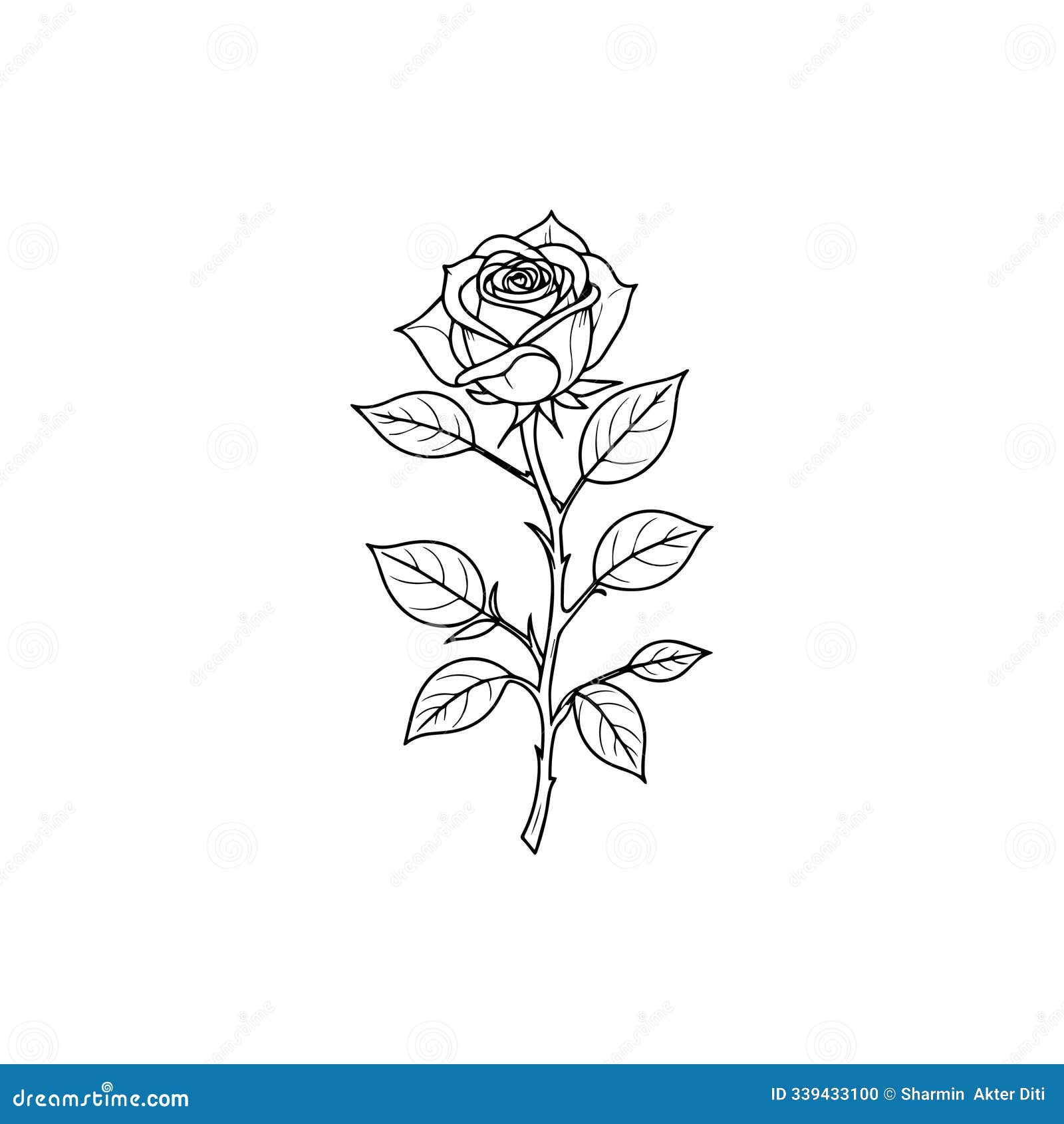 A Vector Illustration of a Single Elegant Rose with Curled Rose Leaves ...