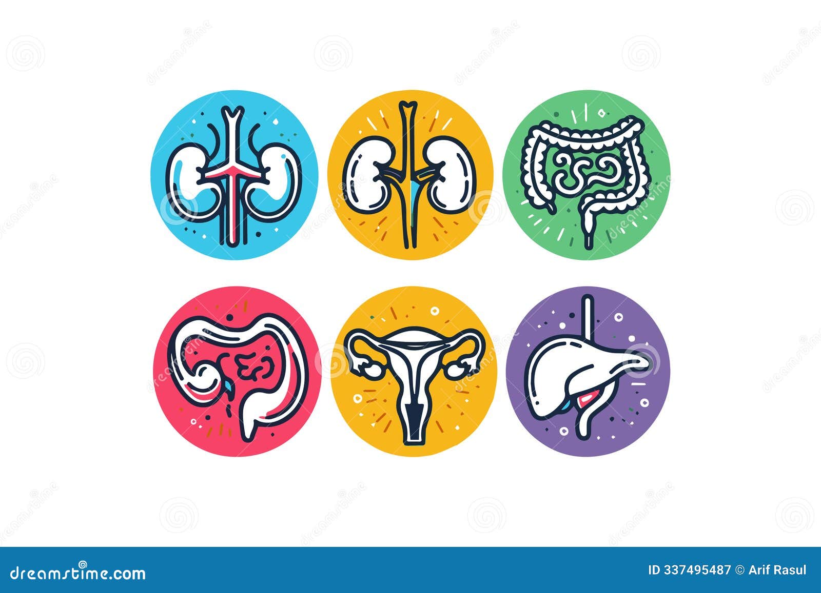 Vector Illustration of Six Human Internal Organs 5 Stock Vector ...