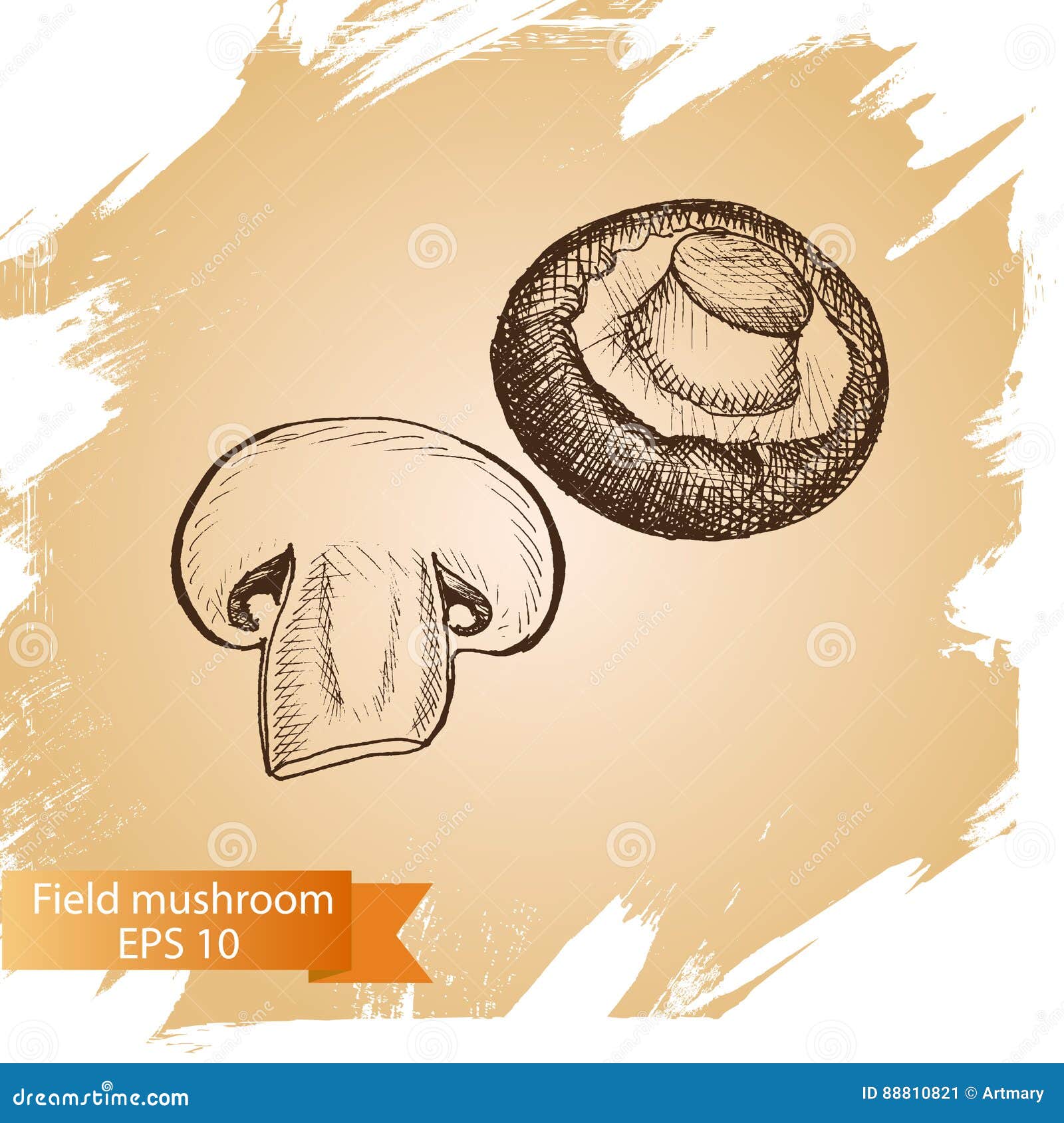 Vector Illustration Sketch - Field Mushrooms. Stock Illustration ...