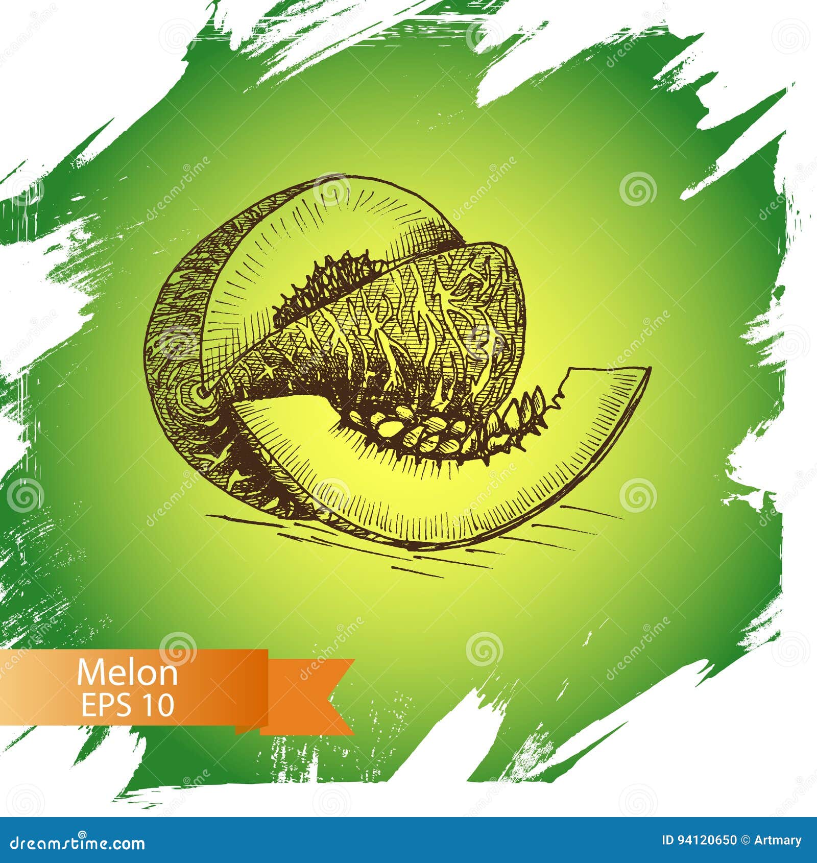 Vector Illustration Sketch Melon Stock Illustration - Illustration of ...