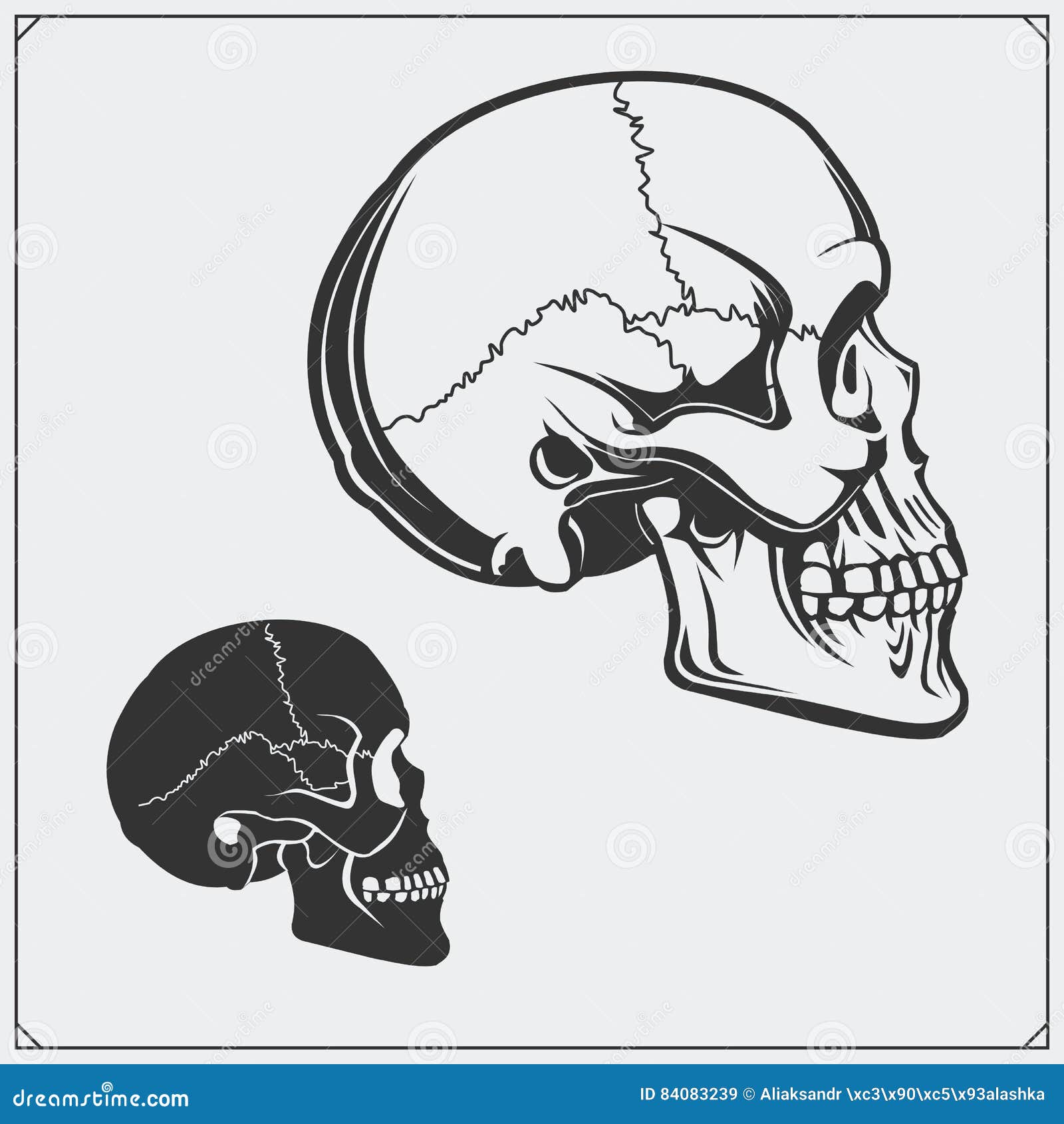 Vector Illustration of Skulls. Stock Vector - Illustration of bone ...