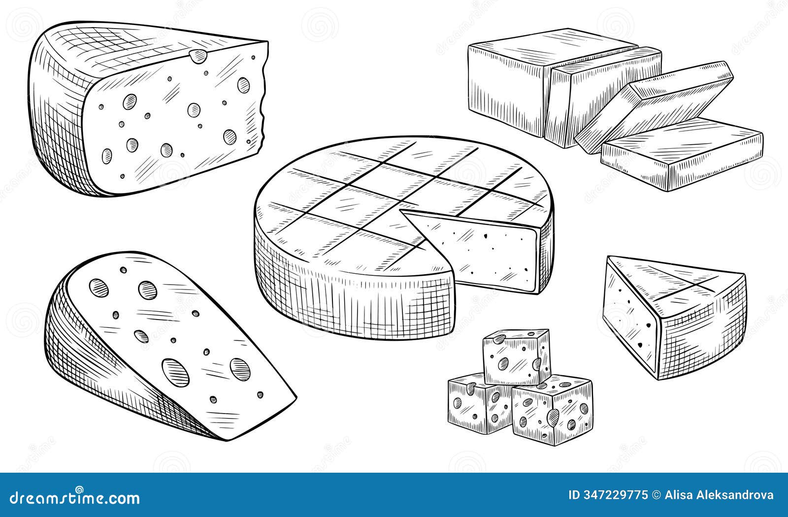 Vector Illustration with Slices of Cheese. Linear Drawing of Dairy ...