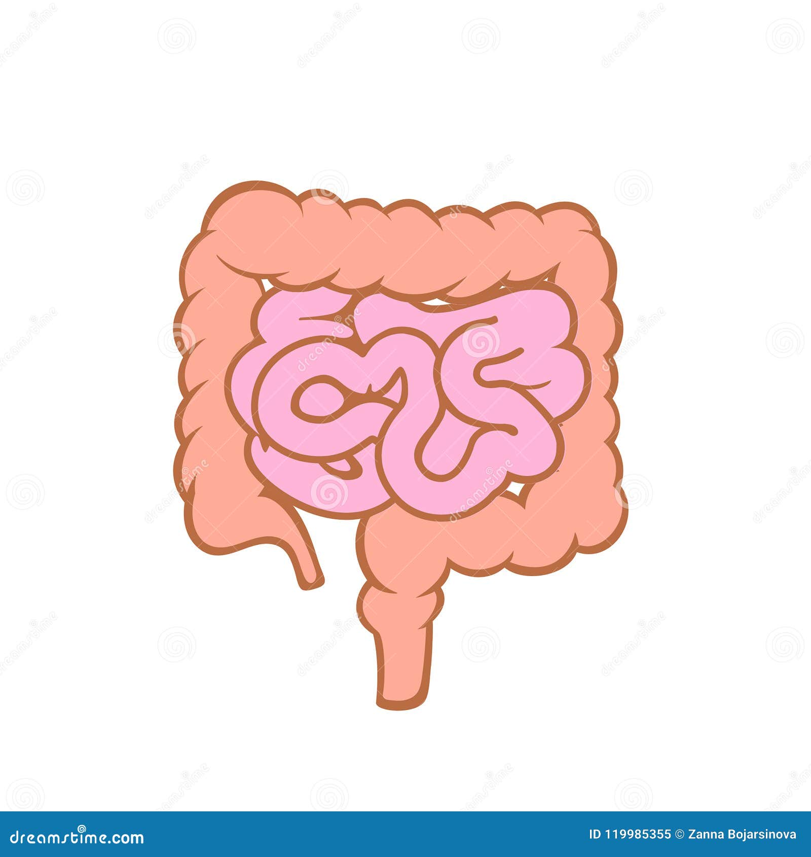 Illustration Of Large Intestine | CartoonDealer.com #93372296