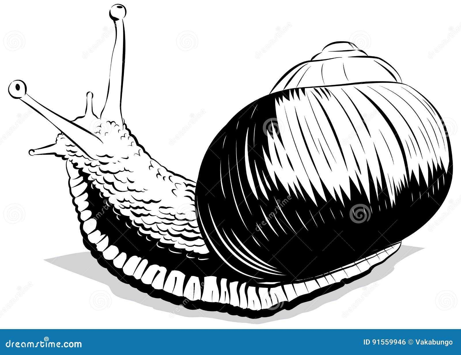 Vector illustration snail stock vector. Illustration of moving - 91559946