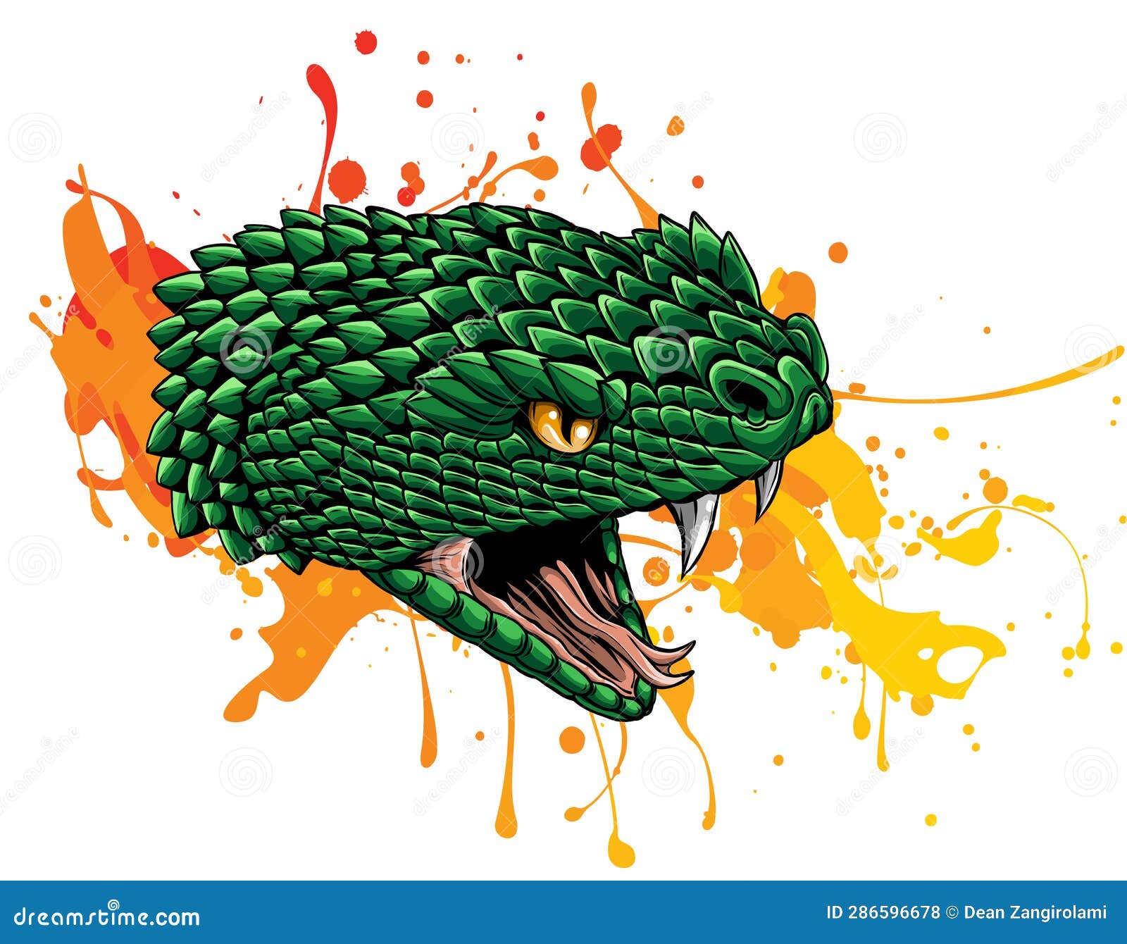 Vector Illustration of Snake Head with Splash Water Stock Illustration ...