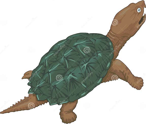 Snapping Turtle Illustration Stock Vector - Illustration of snapper ...