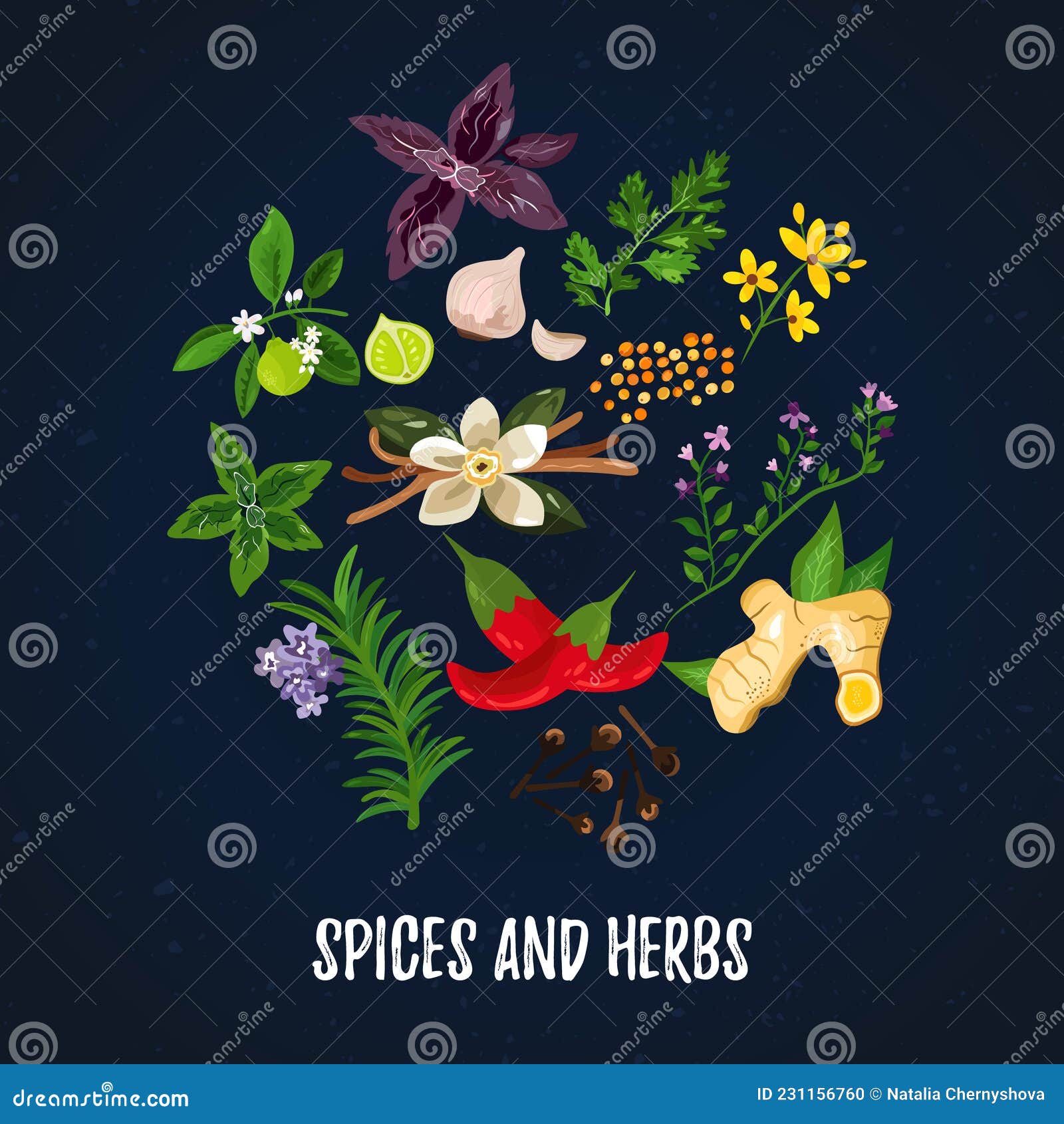 Vector Illustration Spices and Herbs Circle Design Stock Vector ...