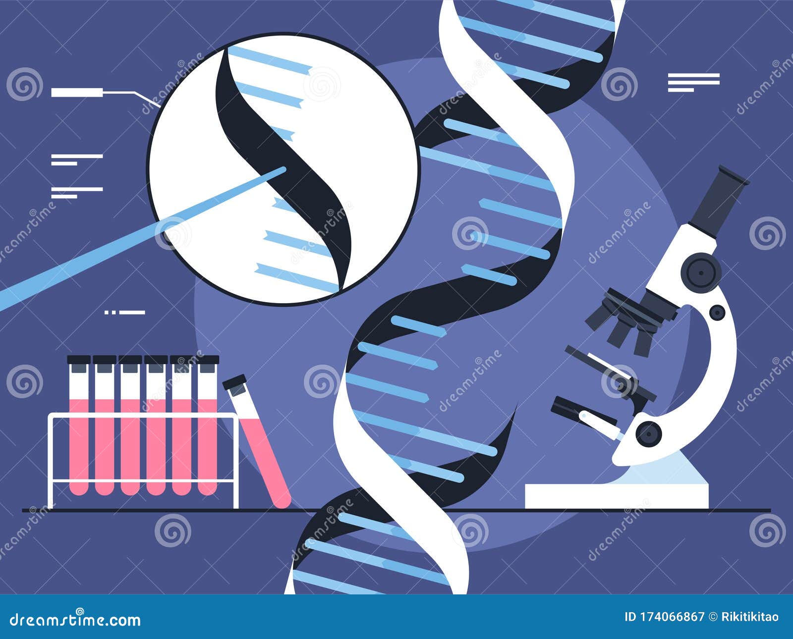 Vector Illustration of a Spiral Structure of DNA Macromolecule Stock ...