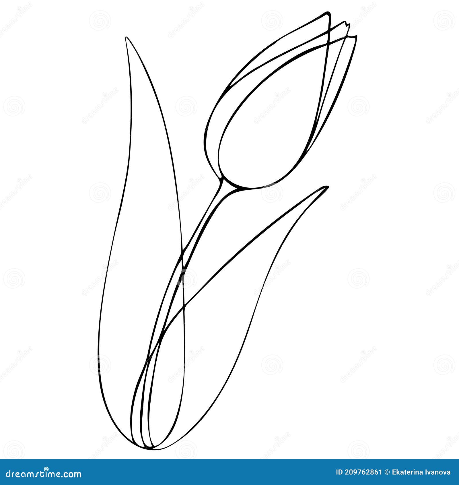 Vector Illustration of a Spring Flower. Line Art Tulip. Stock Vector ...