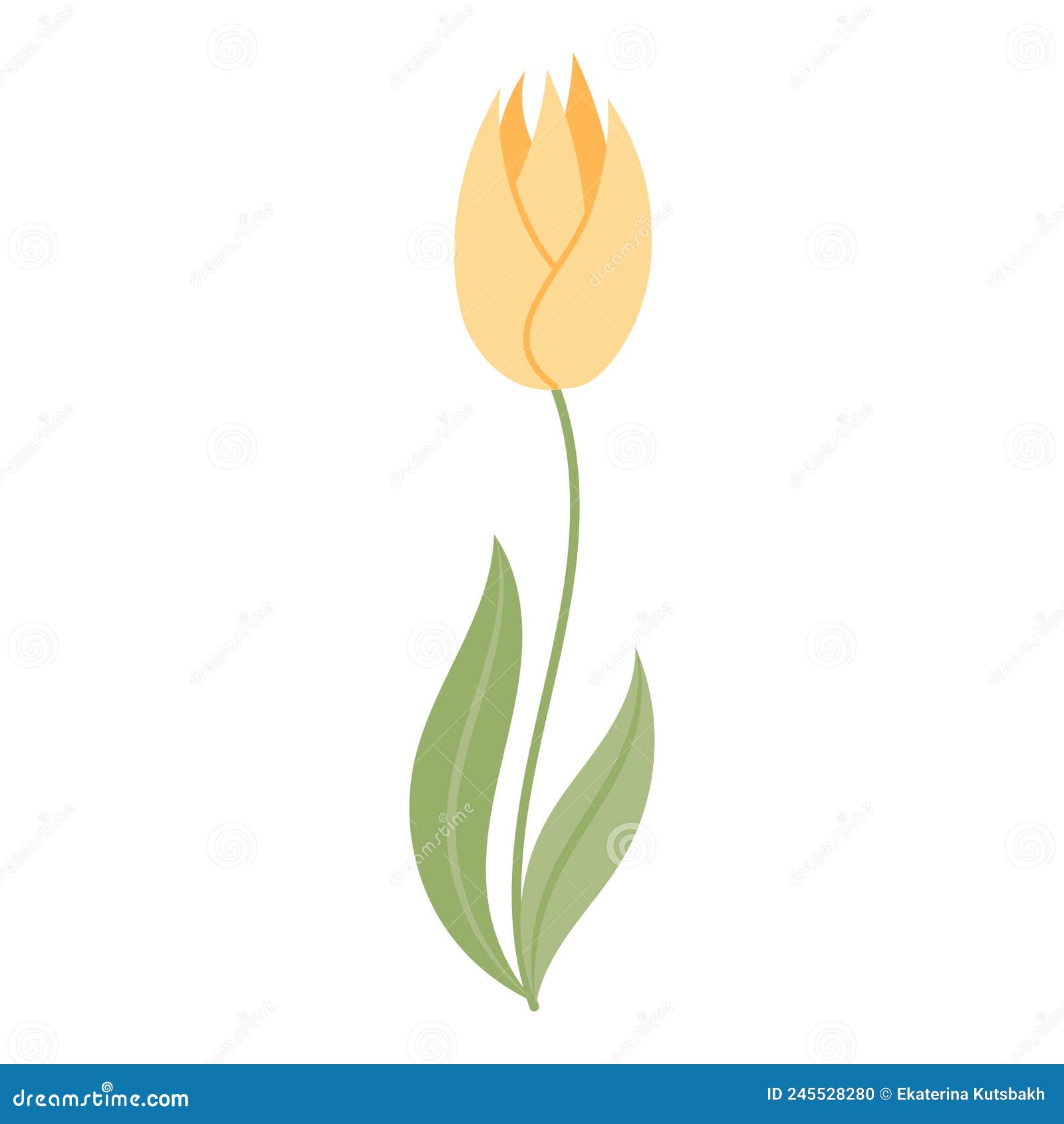 Vector Illustration of Spring Tulip Flower Isolated on White Stock ...