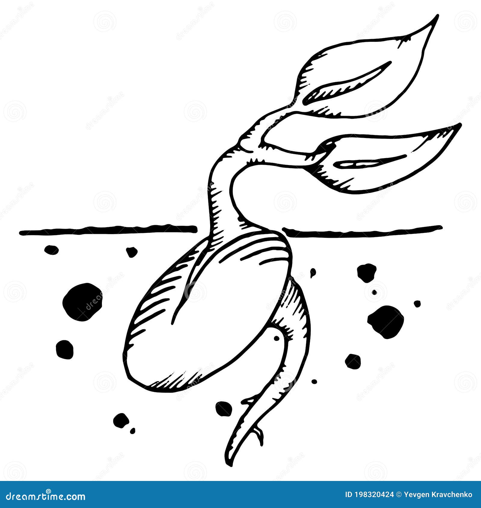 Sprout from the Seed. Vector Illustration of Sprouted Seeds. Hand Drawn ... Sprout from the Seed. Vector Illustration of Sprouted Seeds. Hand Drawn ...