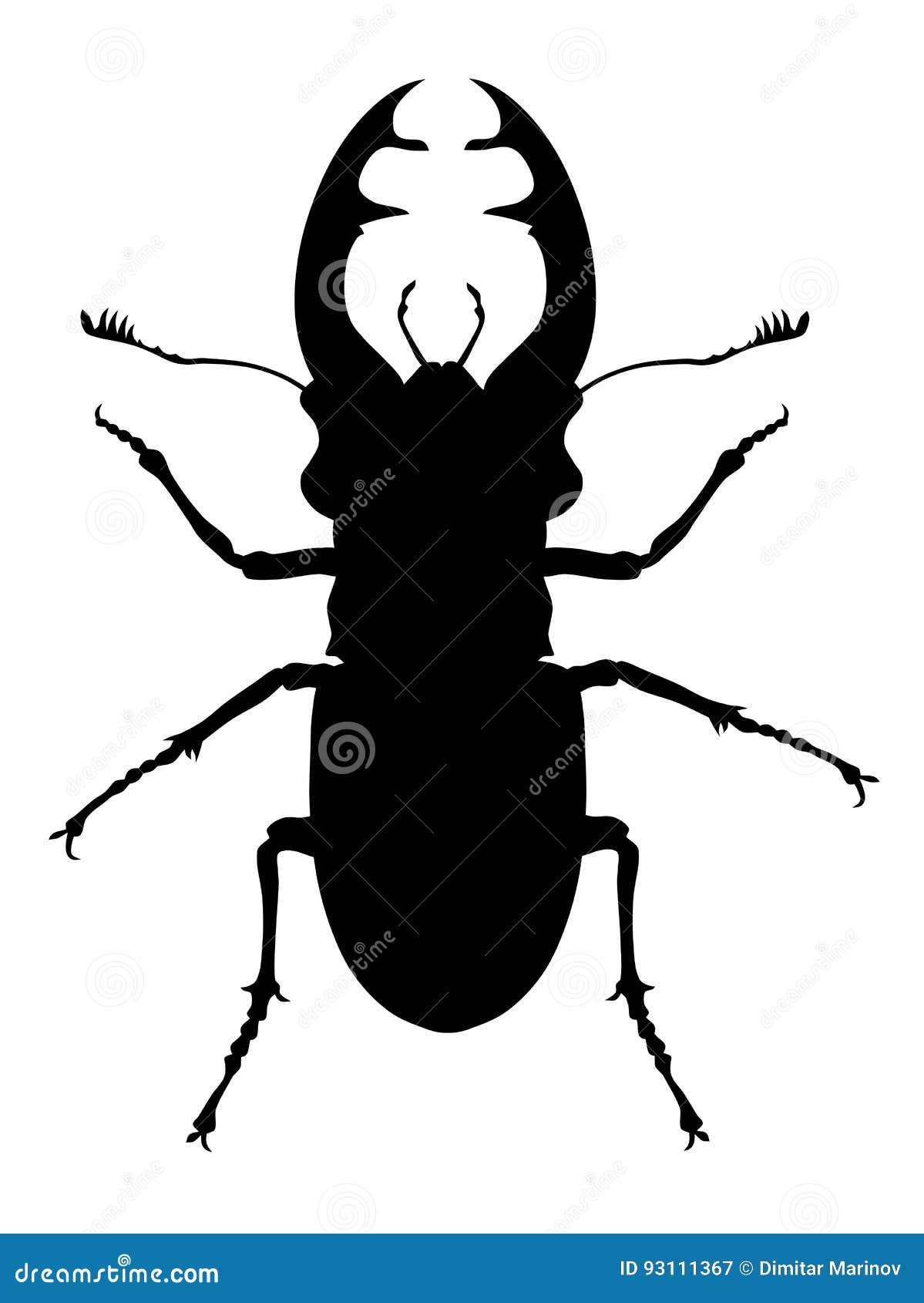 Stag beetle stock vector. Illustration of insect, beetle - 93111367