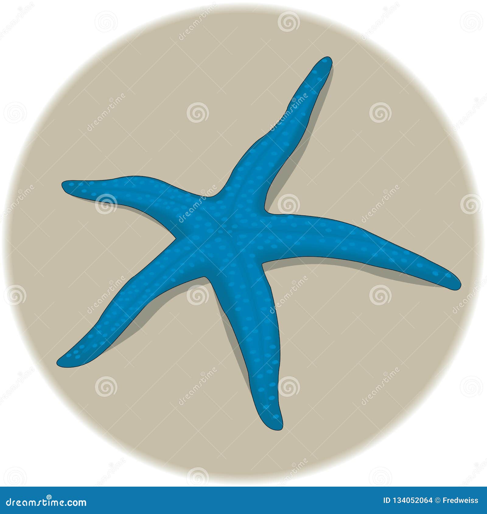 Starfish Illustration stock vector. Illustration of echinoderm - 134052064