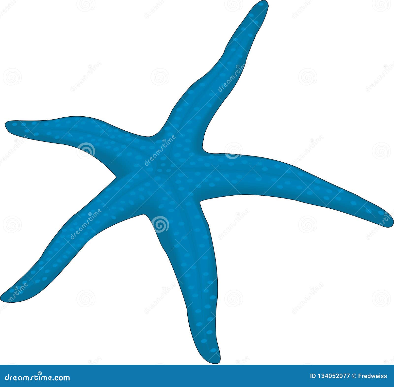 Starfish Illustration stock vector. Illustration of star - 134052077
