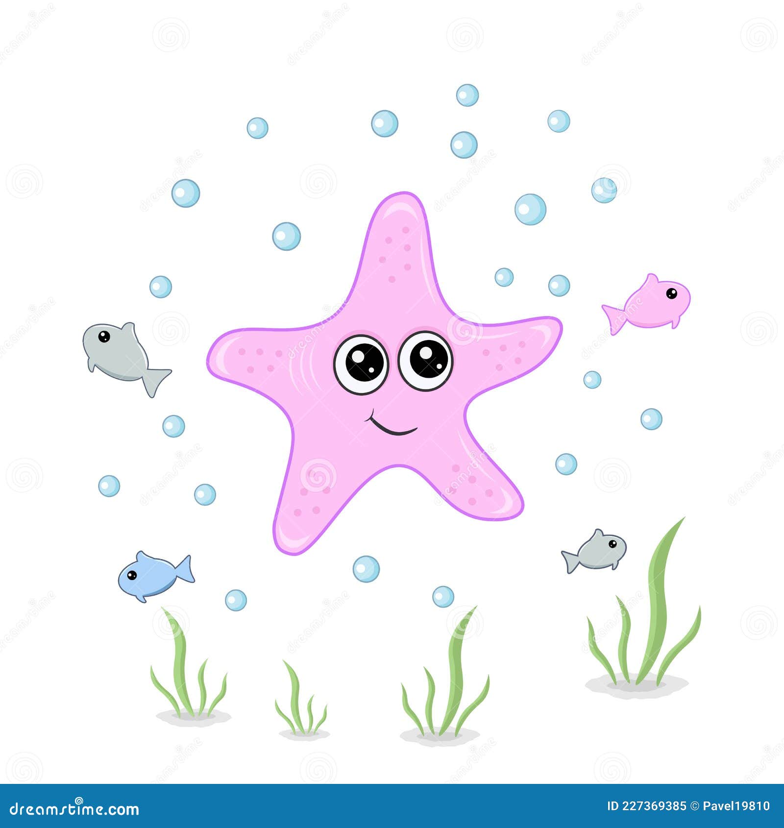 Starfish Nervous System Diagram