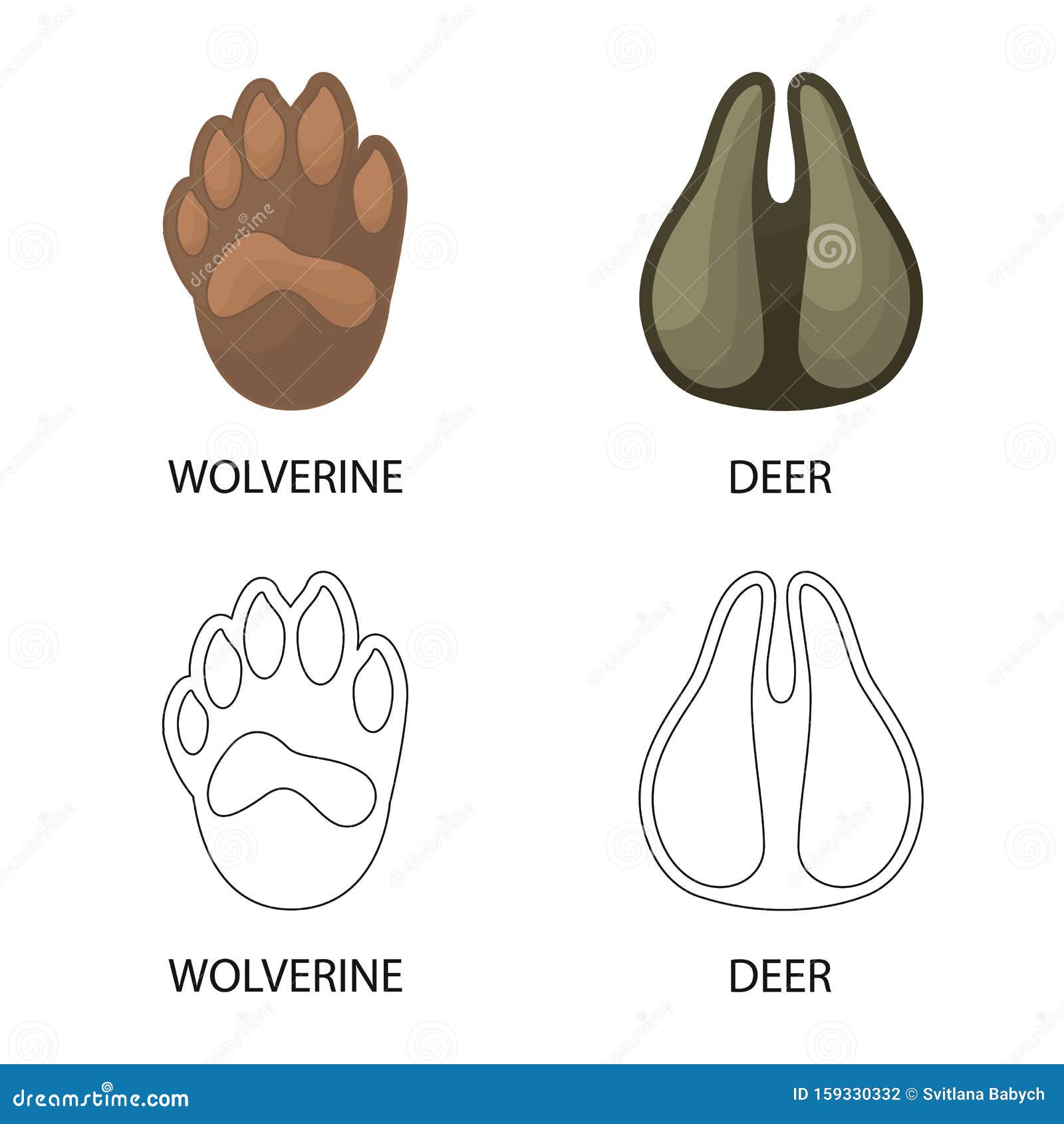 Vector Design of Step and Walk Symbol. Set of Step and Fauna Stock ...