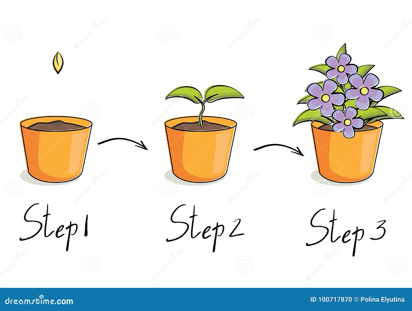 Vector Illustration of Steps Growing Stock Vector - Illustration of ...