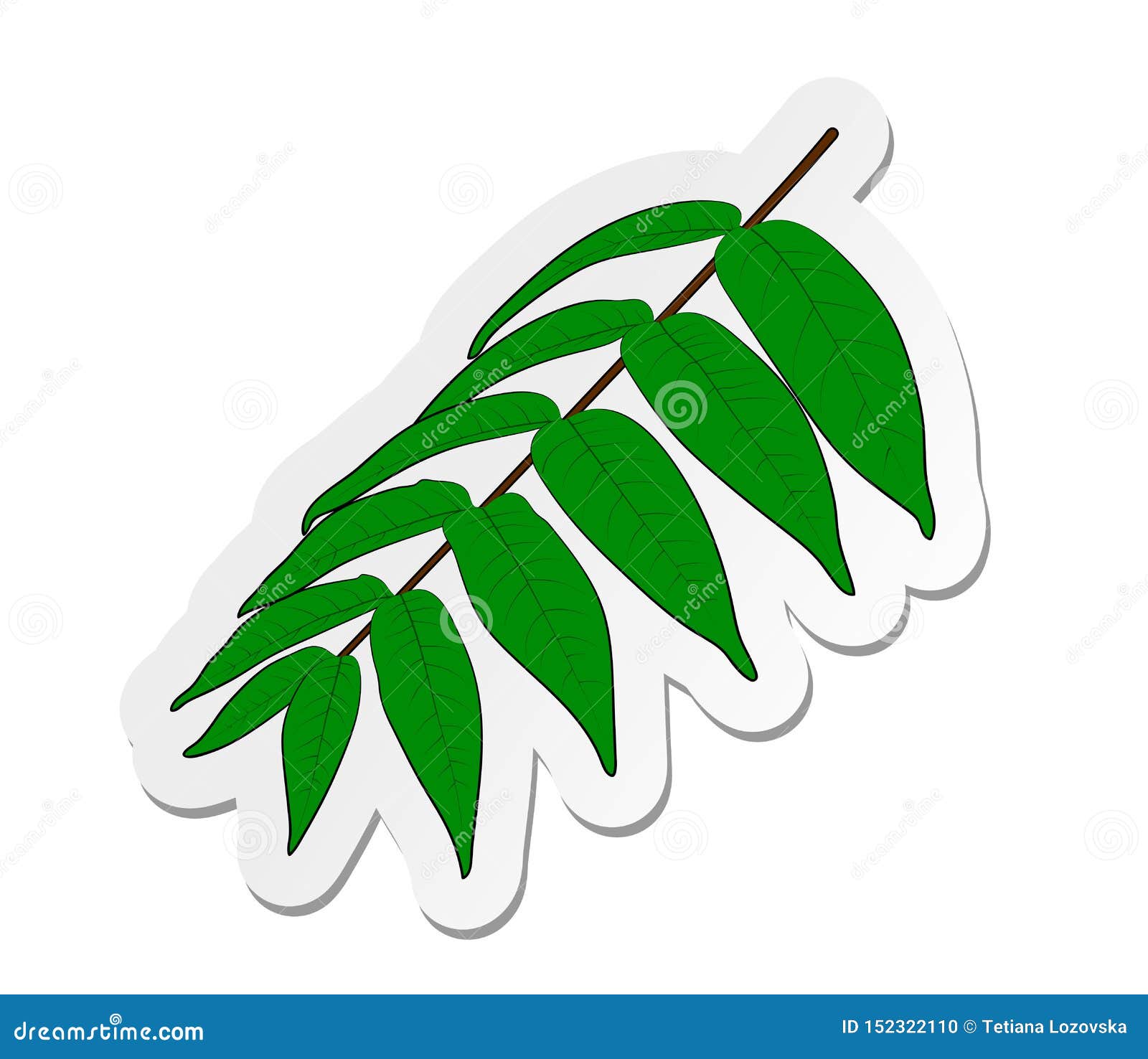 Sticker of Branch of Sumac Tree with Leafs in Flat Cartoon Style ...