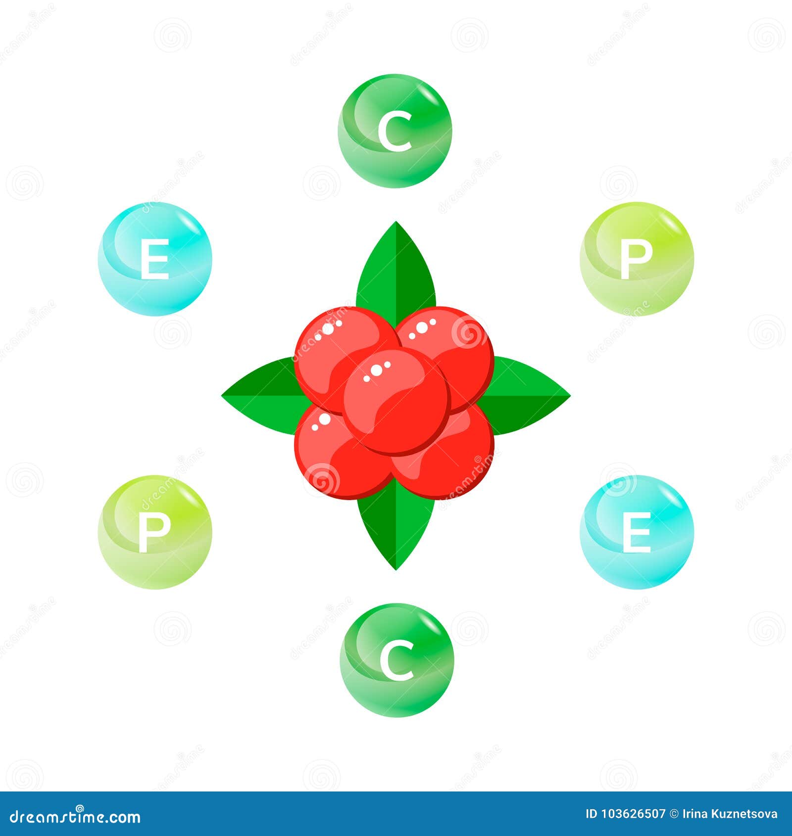 Stone Bramble, Drawing By Color Pencils Stock Illustration ...