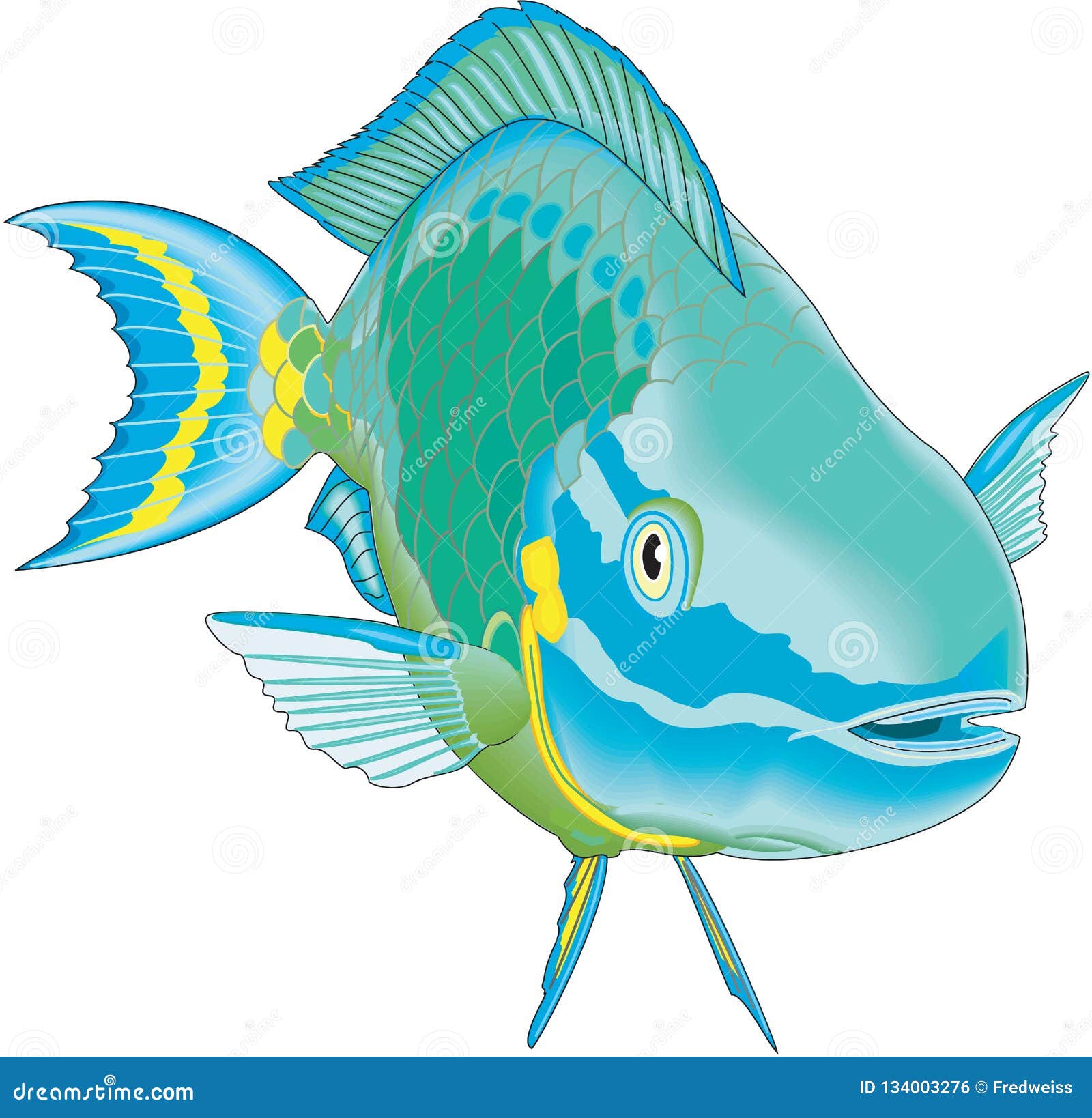 Vector Parrotfish Icon. Under The Sea Illustration With Cute Funny ...