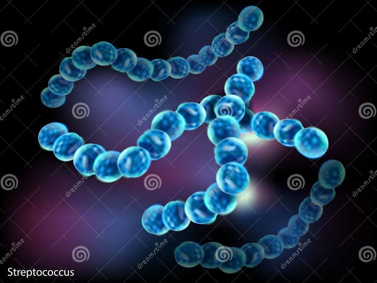 Vector Illustration of the Streptococcus. Gram-positive Coccus or ...