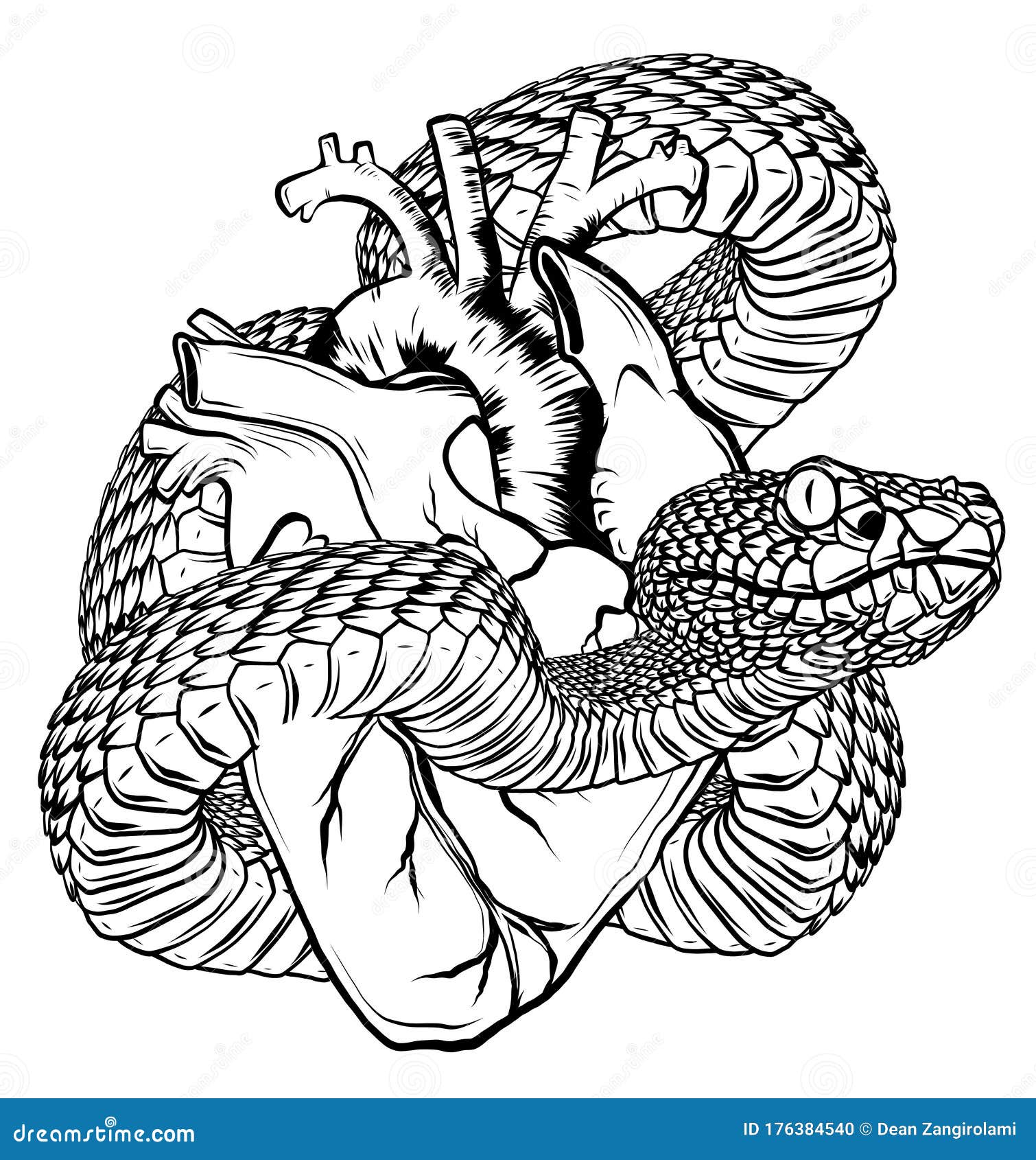Vector Illustration Stylized Heart with a Snake Stock Vector ...