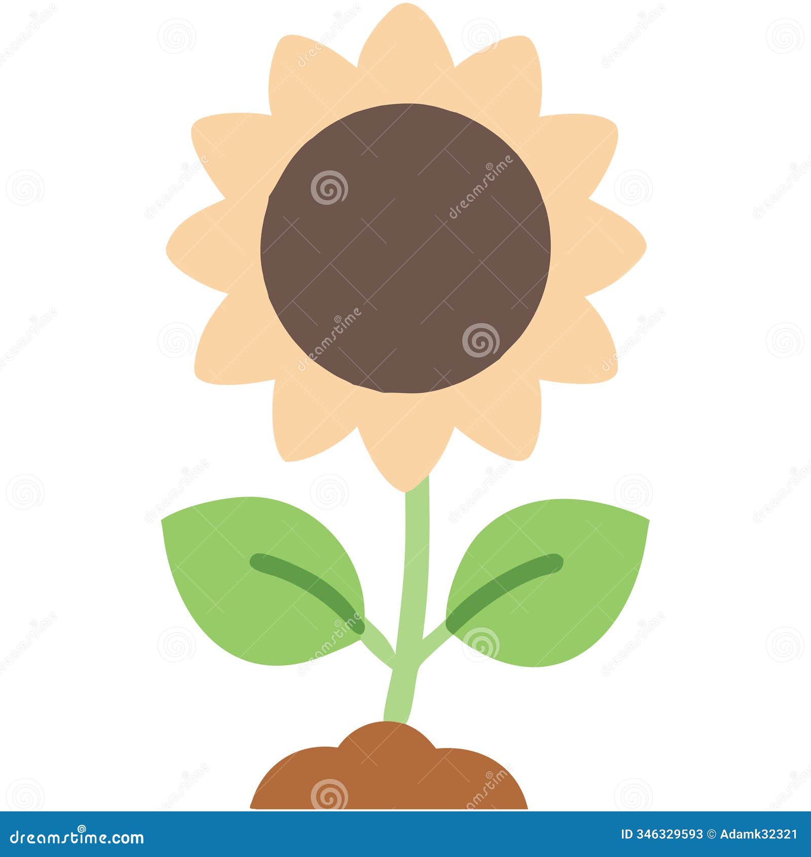 Vector Illustration Sunflower Plant Growth Simple Design Stock ...