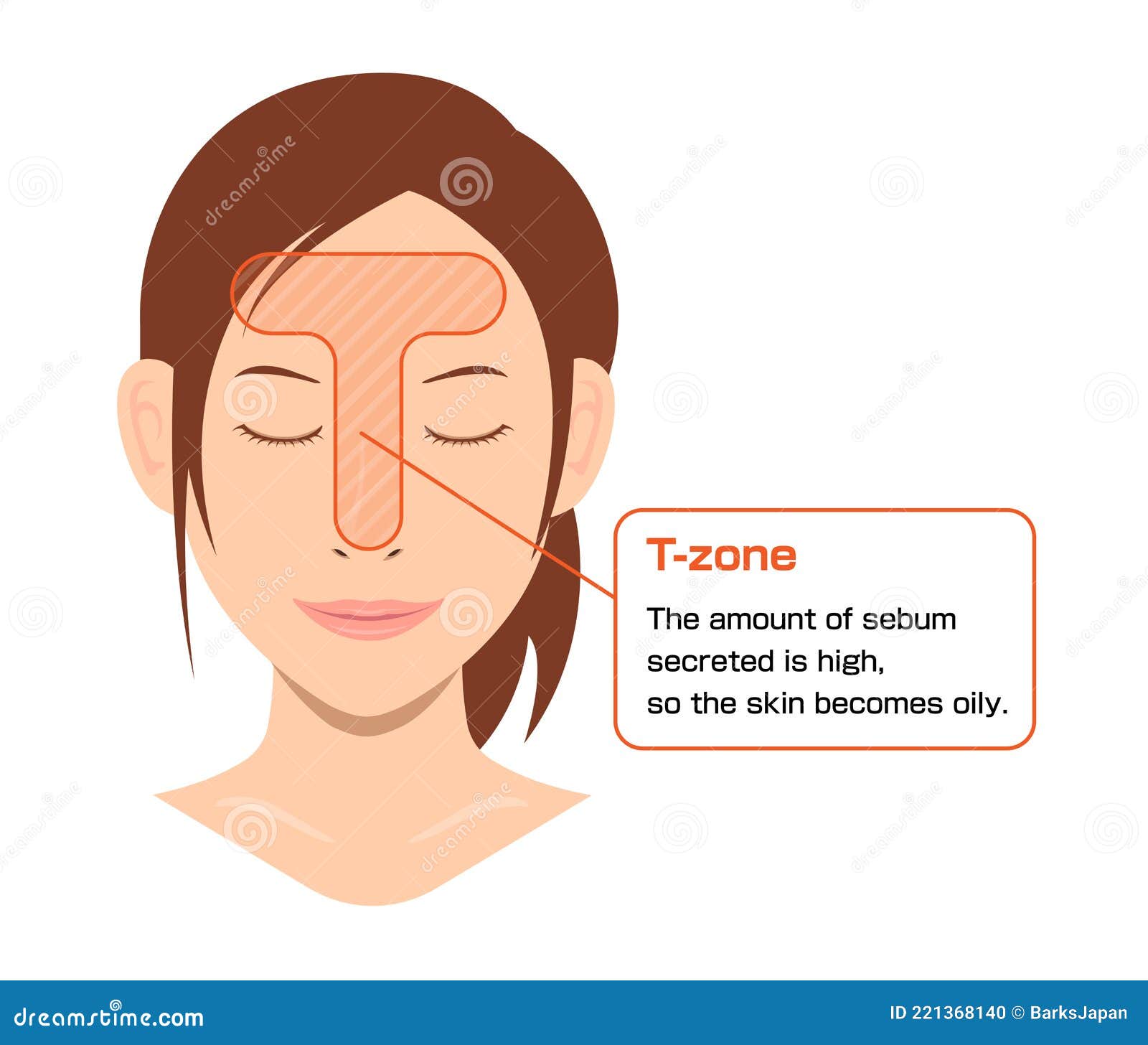 Vector Illustration of T-zone of Female Face Stock Vector ...