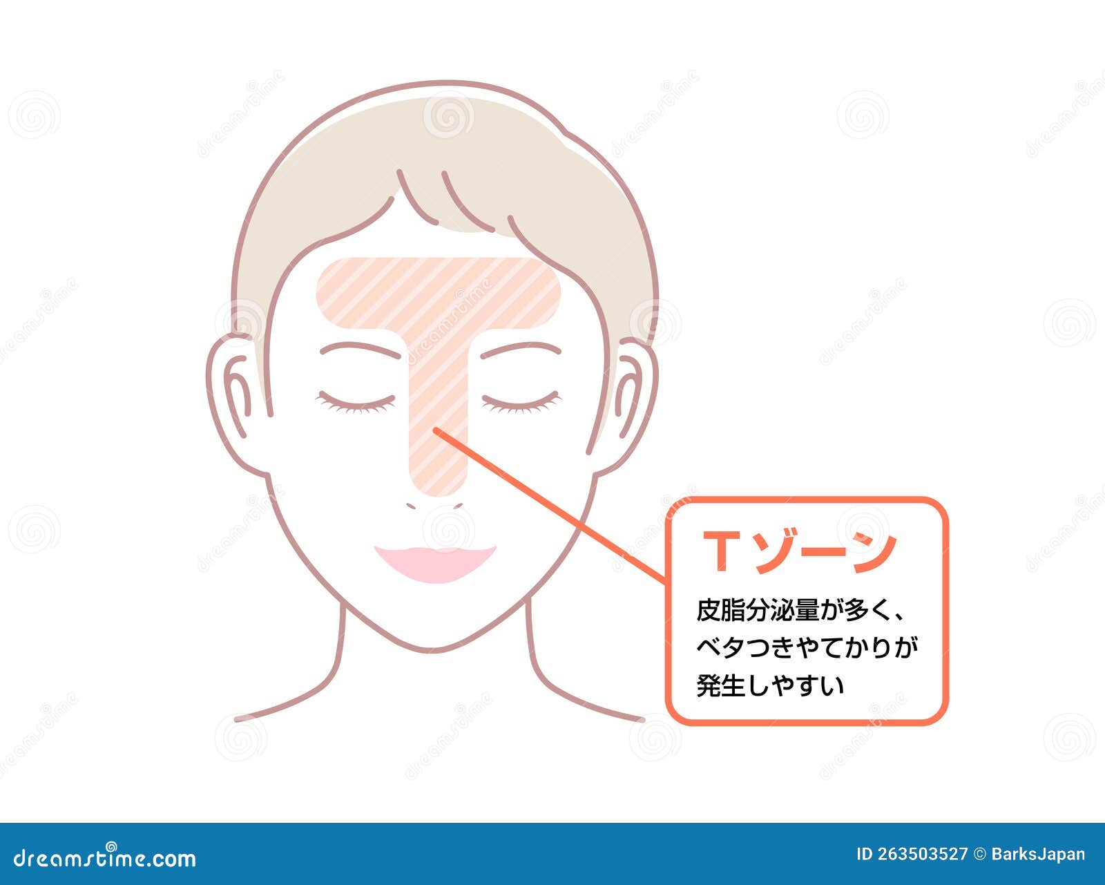 Vector Illustration of T-zone of Female Face Stock Vector ...