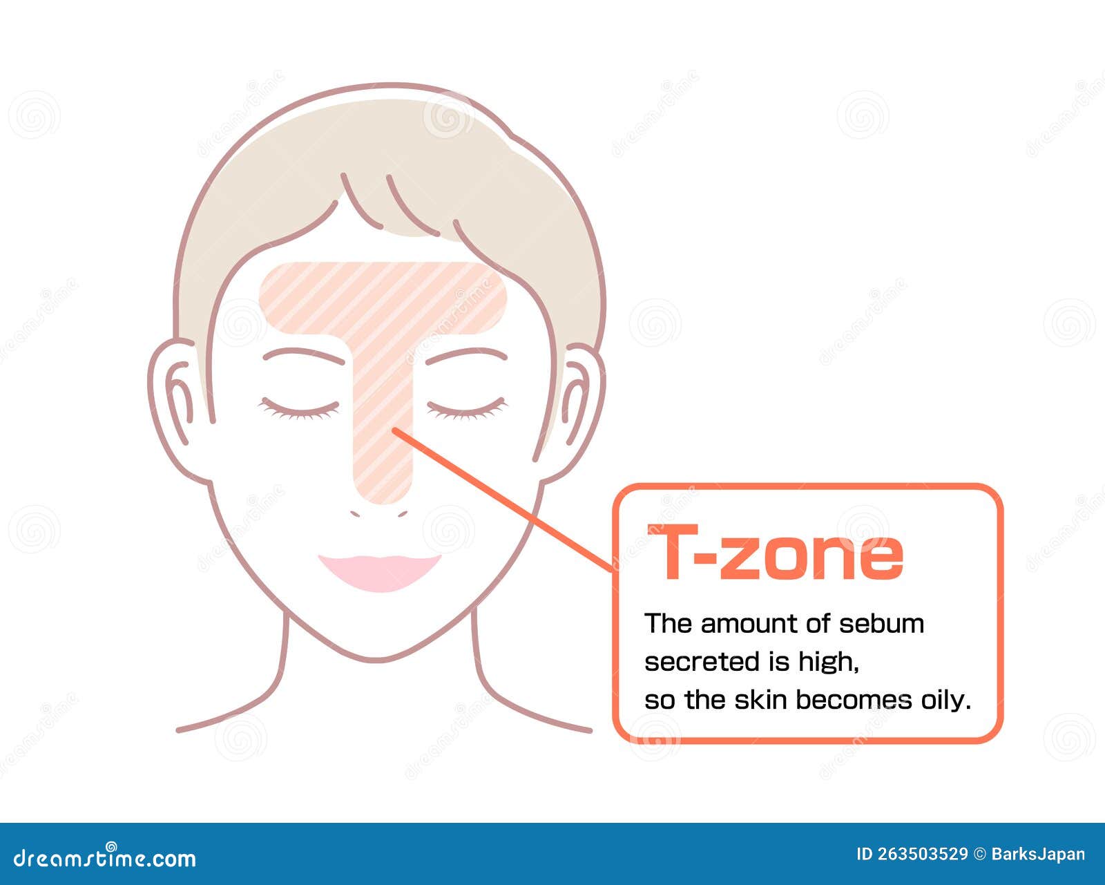 Vector Illustration of T-zone of Female Face Stock Vector ...