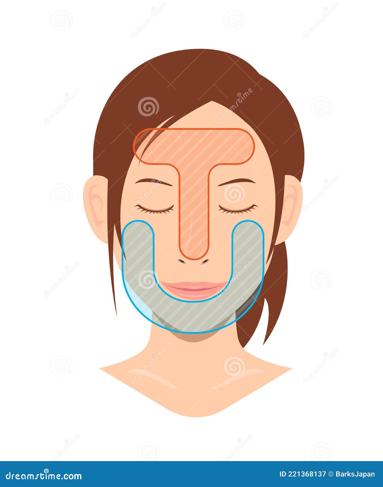 Vector Illustration of T-zone and U-zone of Female Face Stock Vector ...