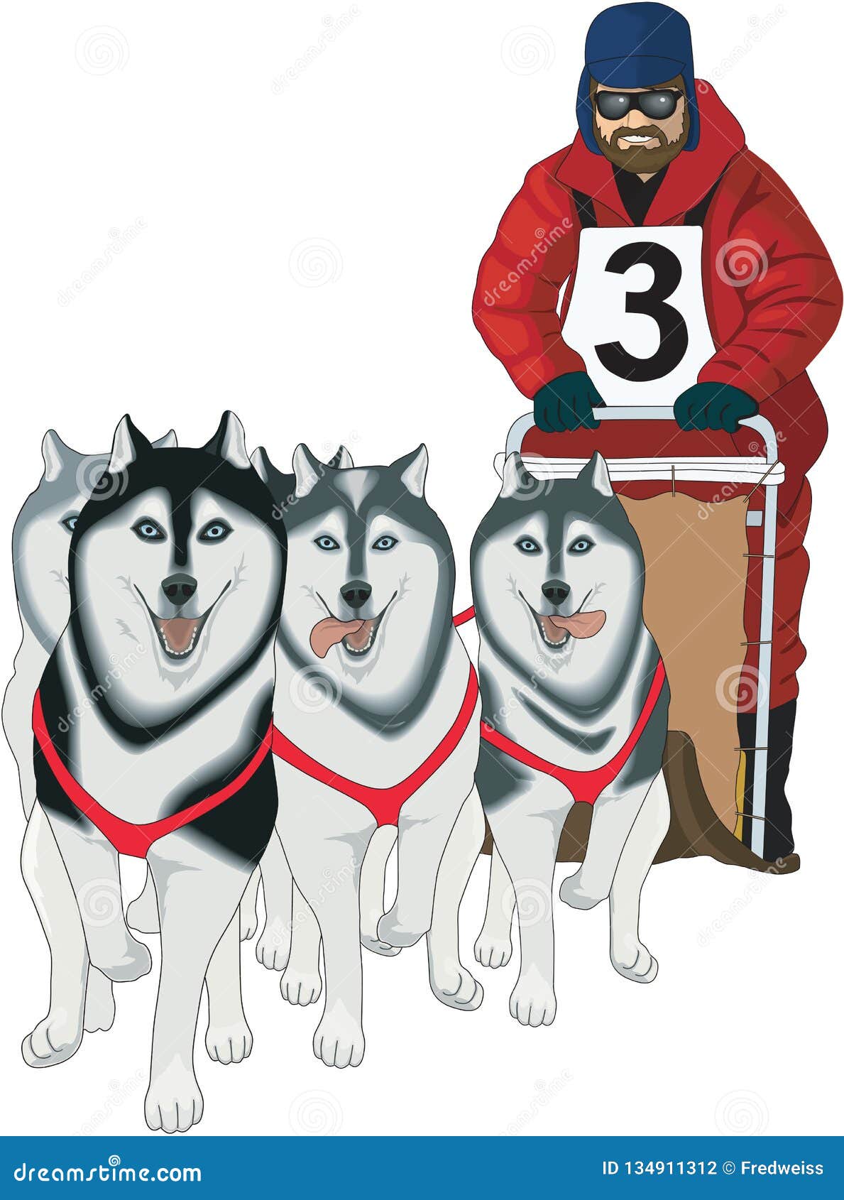 Sled Dogs Cartoon Vector | CartoonDealer.com #30389751